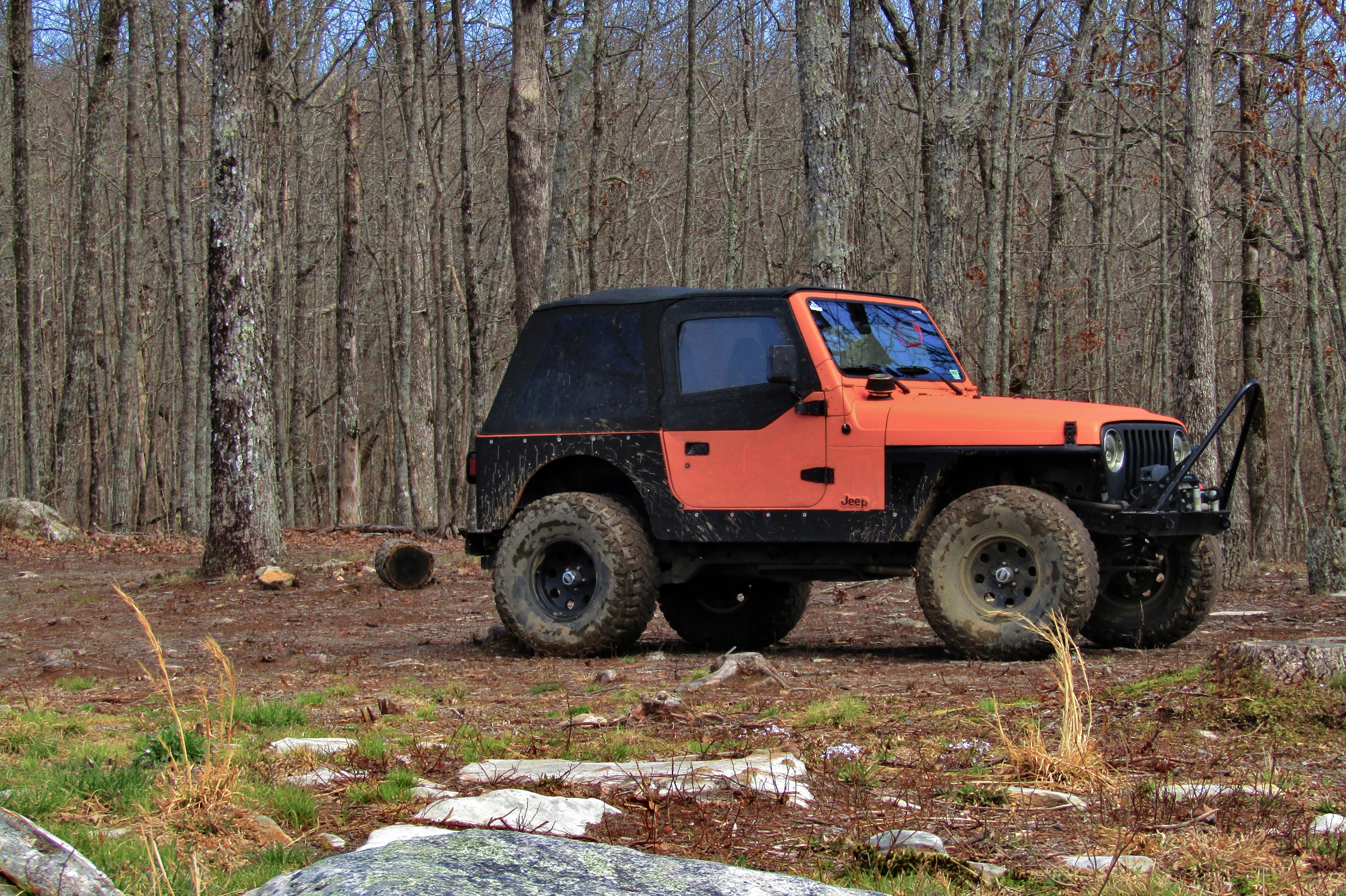 Jeep Car in Forest · Free Stock Photo
