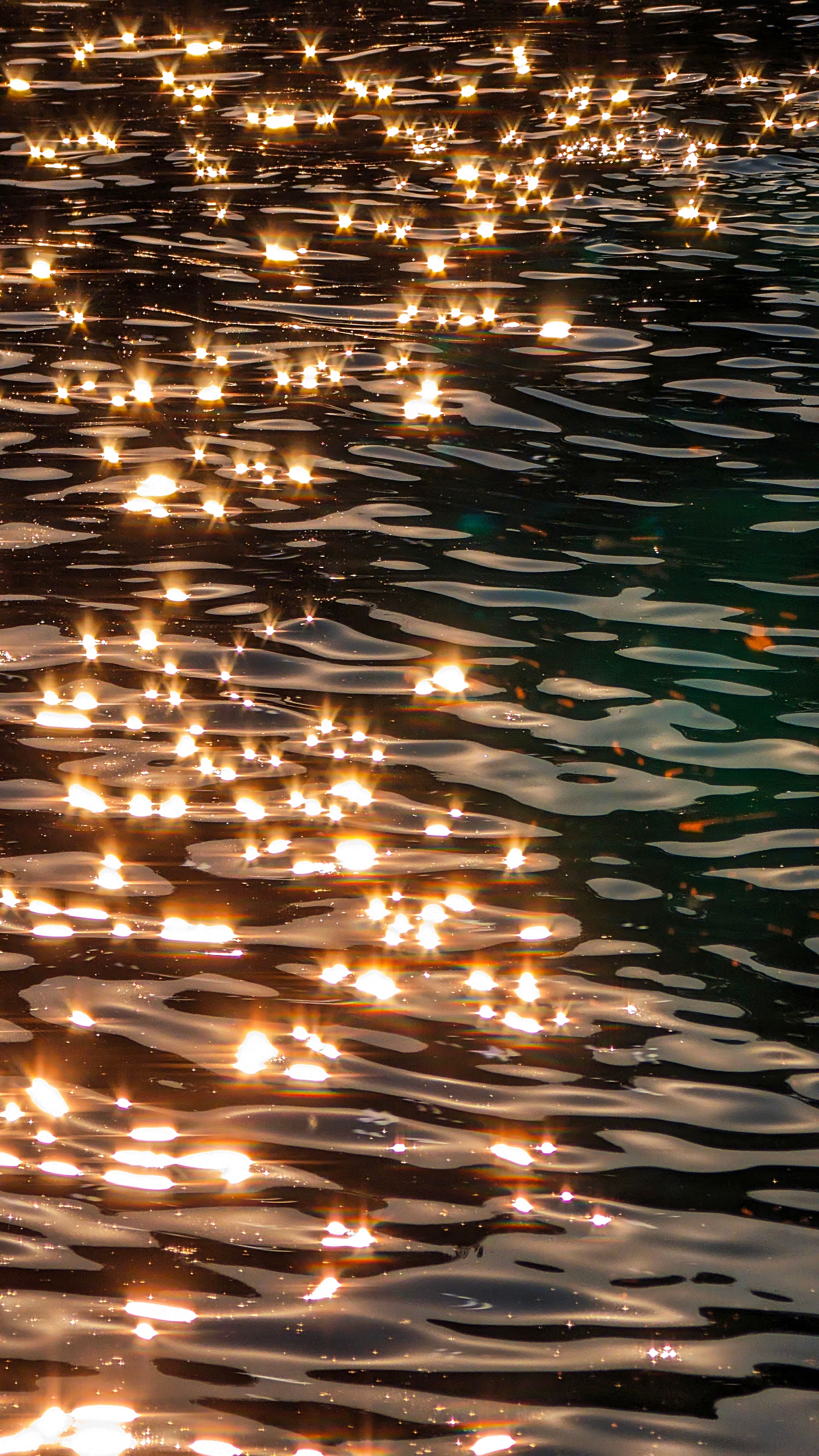 Sun Reflections on Water Surface · Free Stock Photo