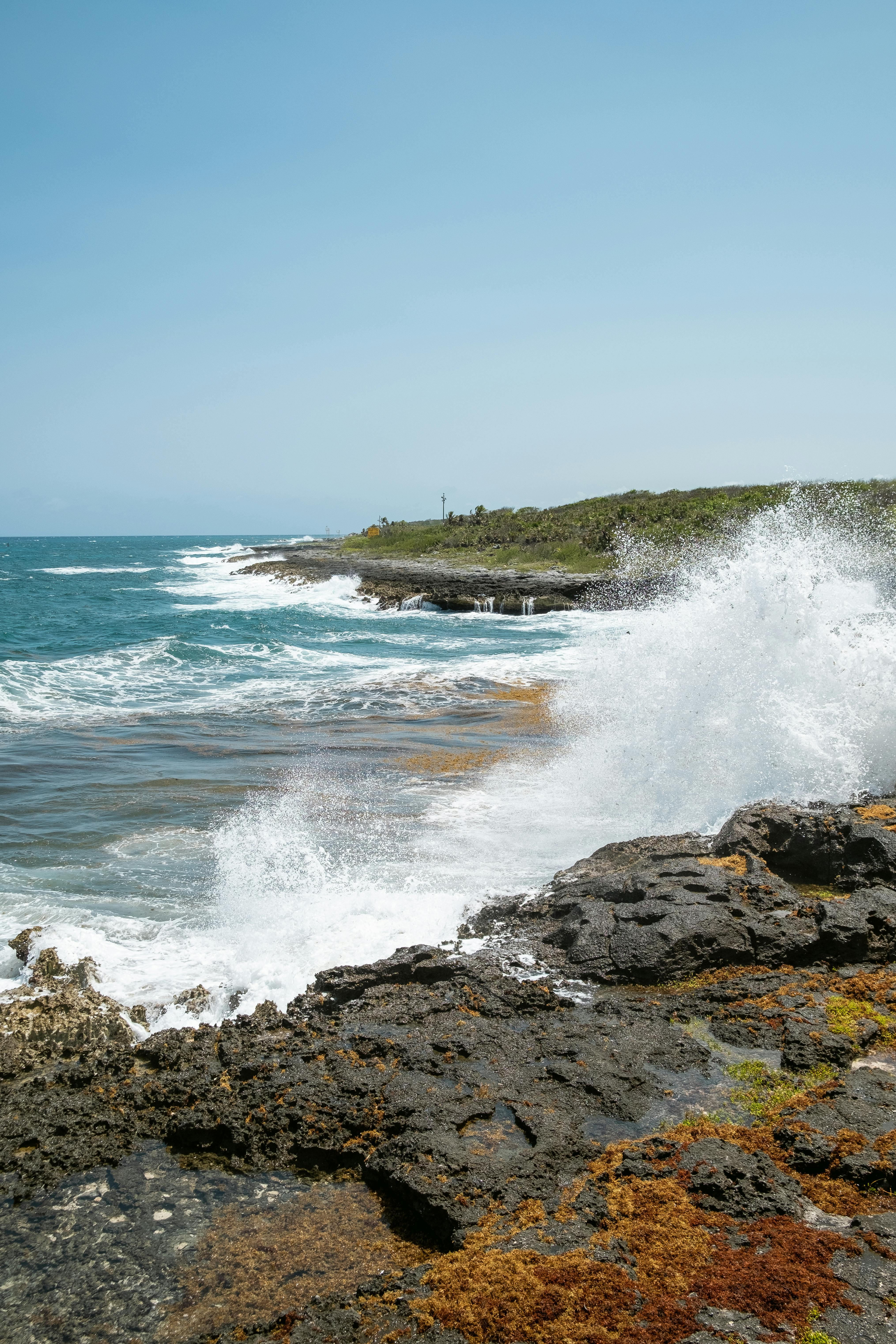 Wave Crushing on Rocks on Sea Shore · Free Stock Photo