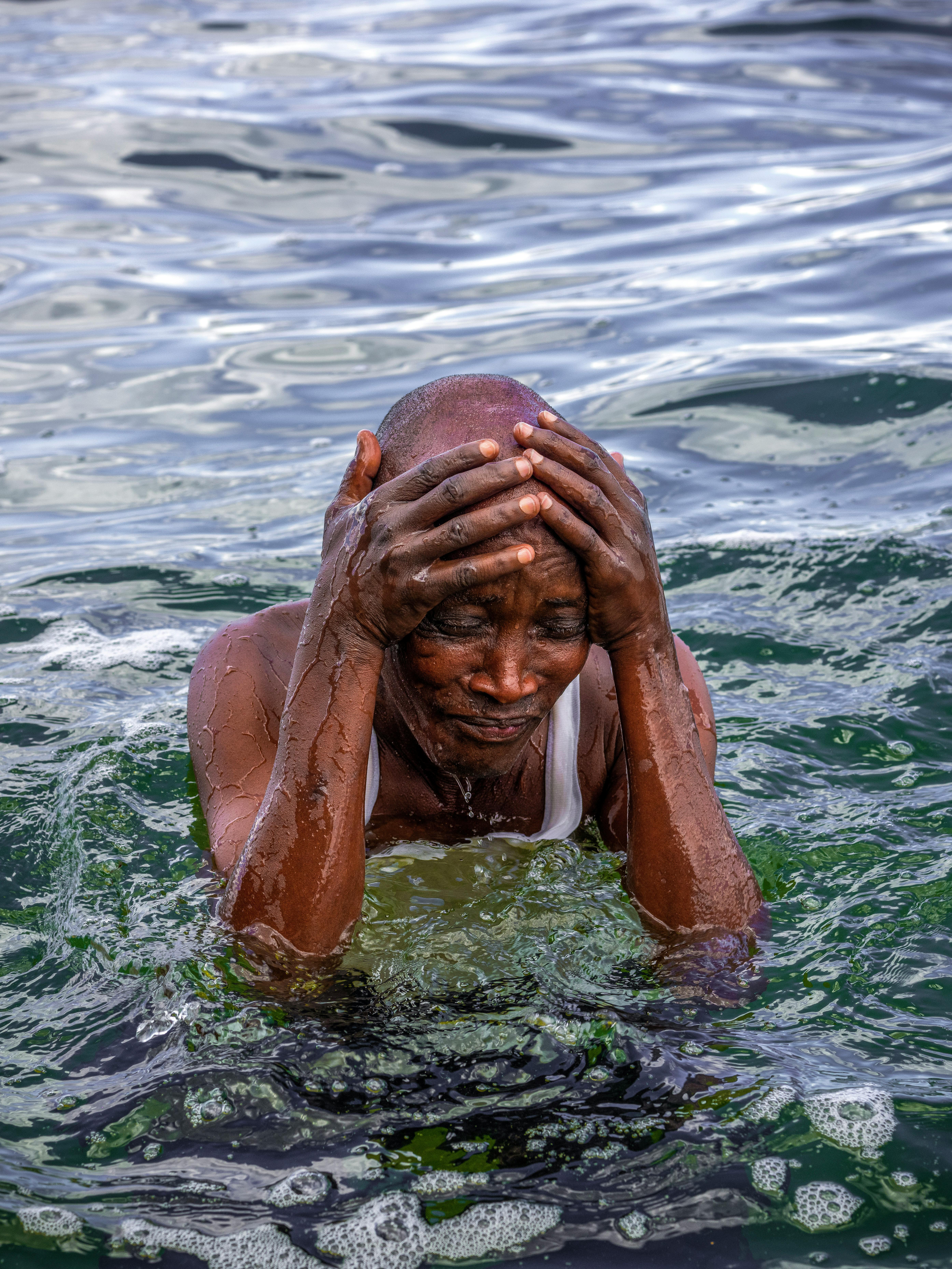 Emersion · Free Stock Photo