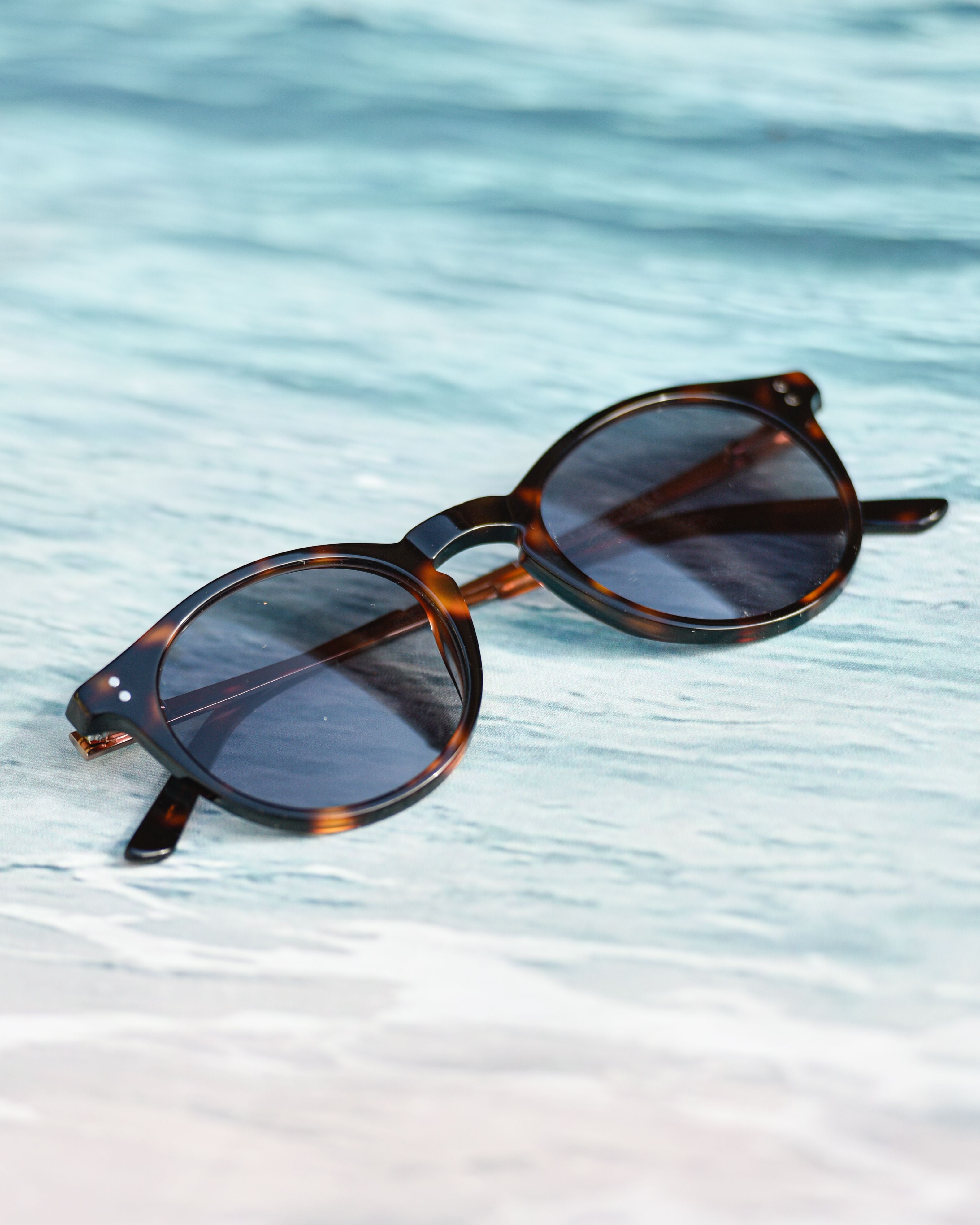 Timeless Elegance: Tortoiseshell Sunglasses by the Sea · Free Stock Photo