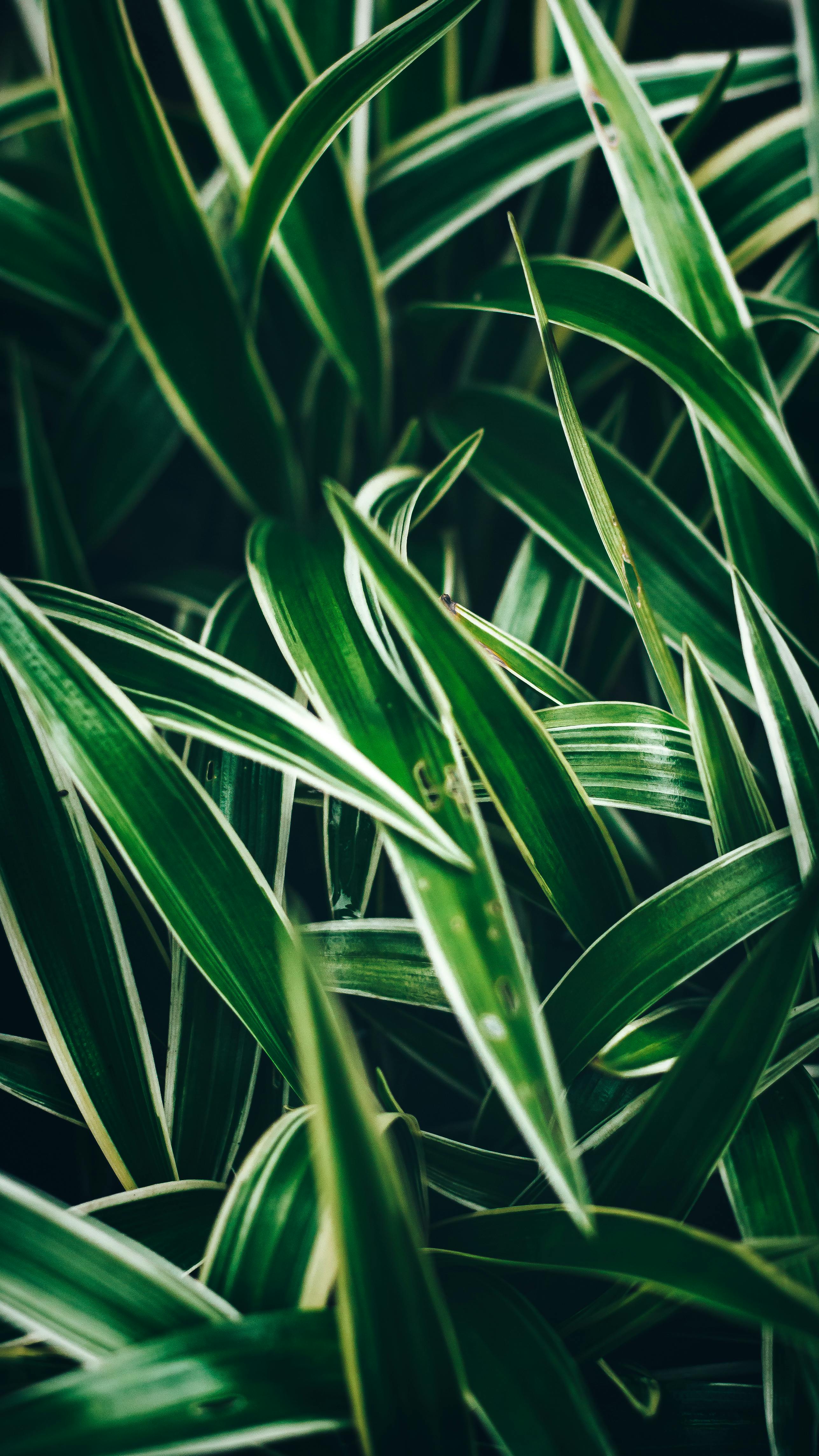 jerin mathew - Photography