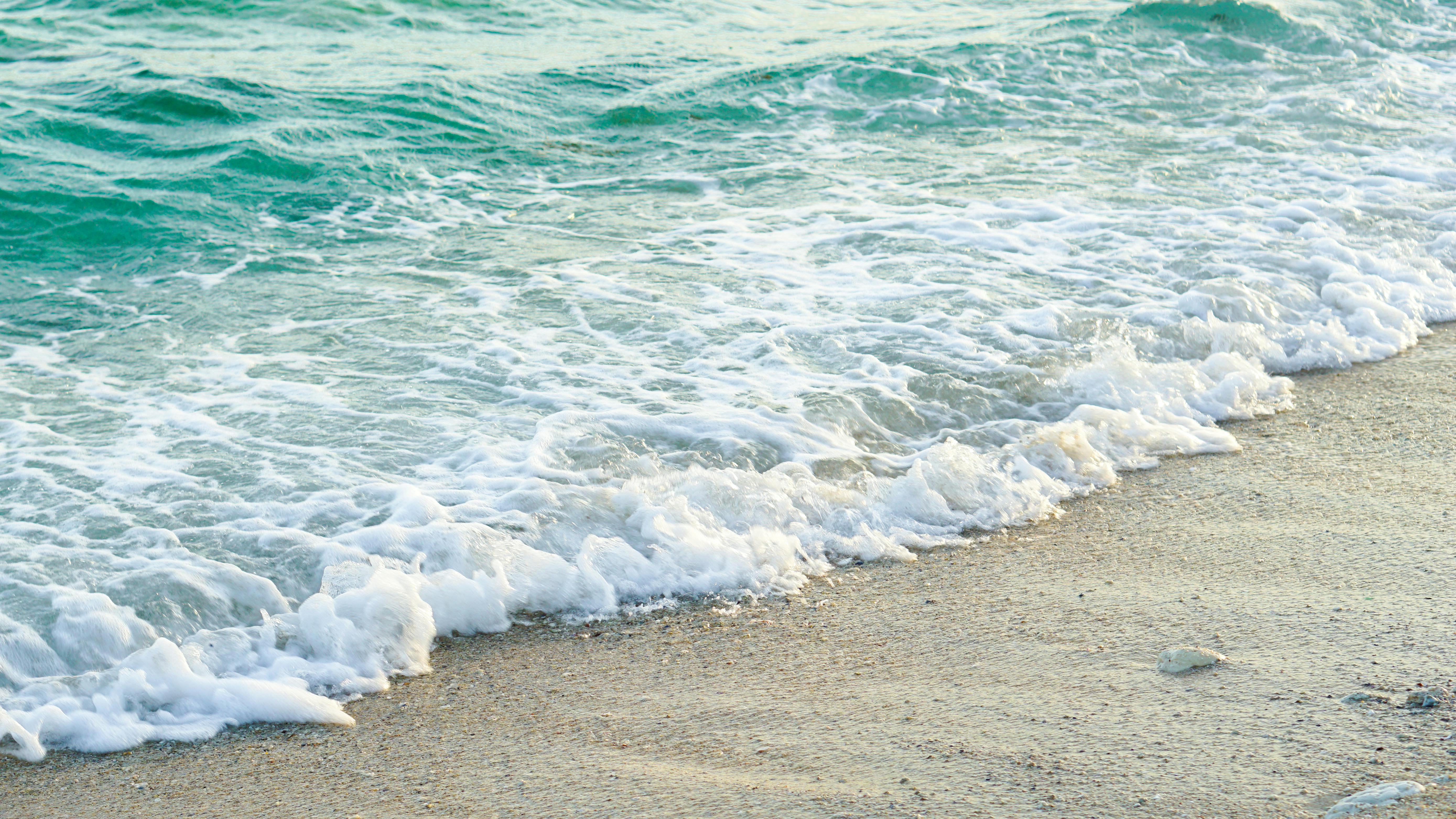 Wave on Sea Shore · Free Stock Photo