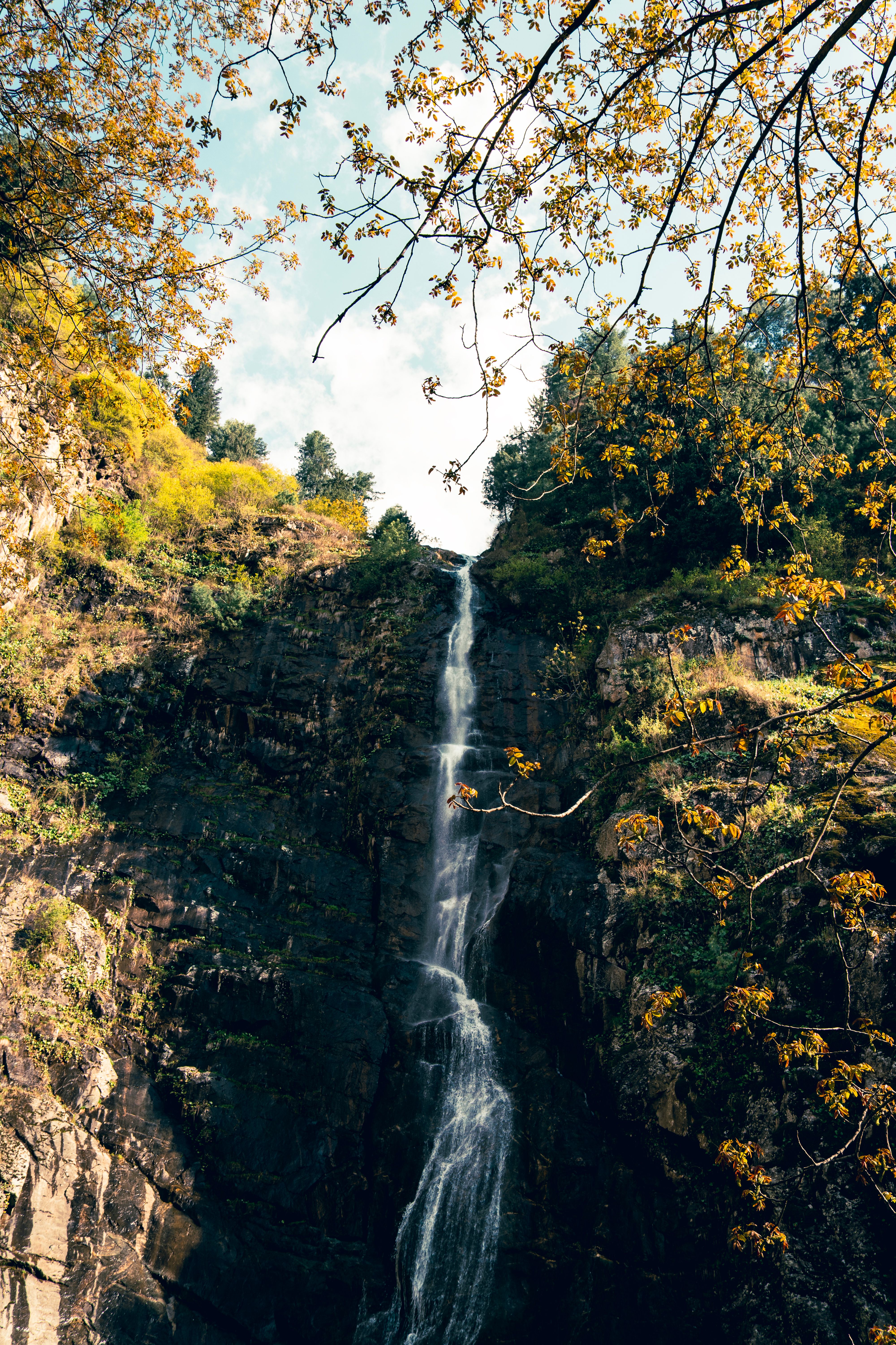 Waterfall on Cliff With Trees during Fall · Free Stock Photo