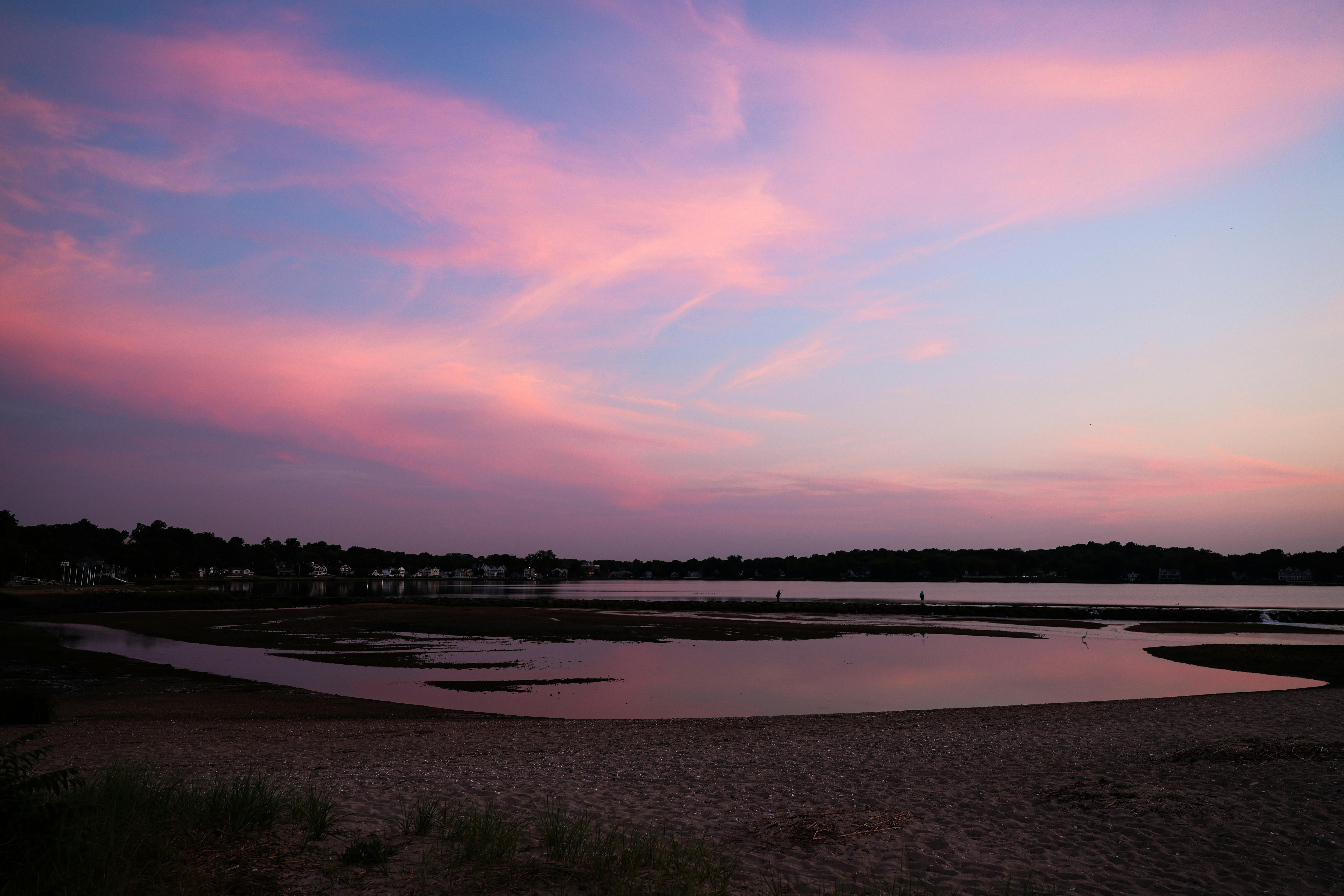 Hit me with Pink. Egrets, Goslings and more @ Twilight. 69° F. June 19 2024. Cove Island Park ...