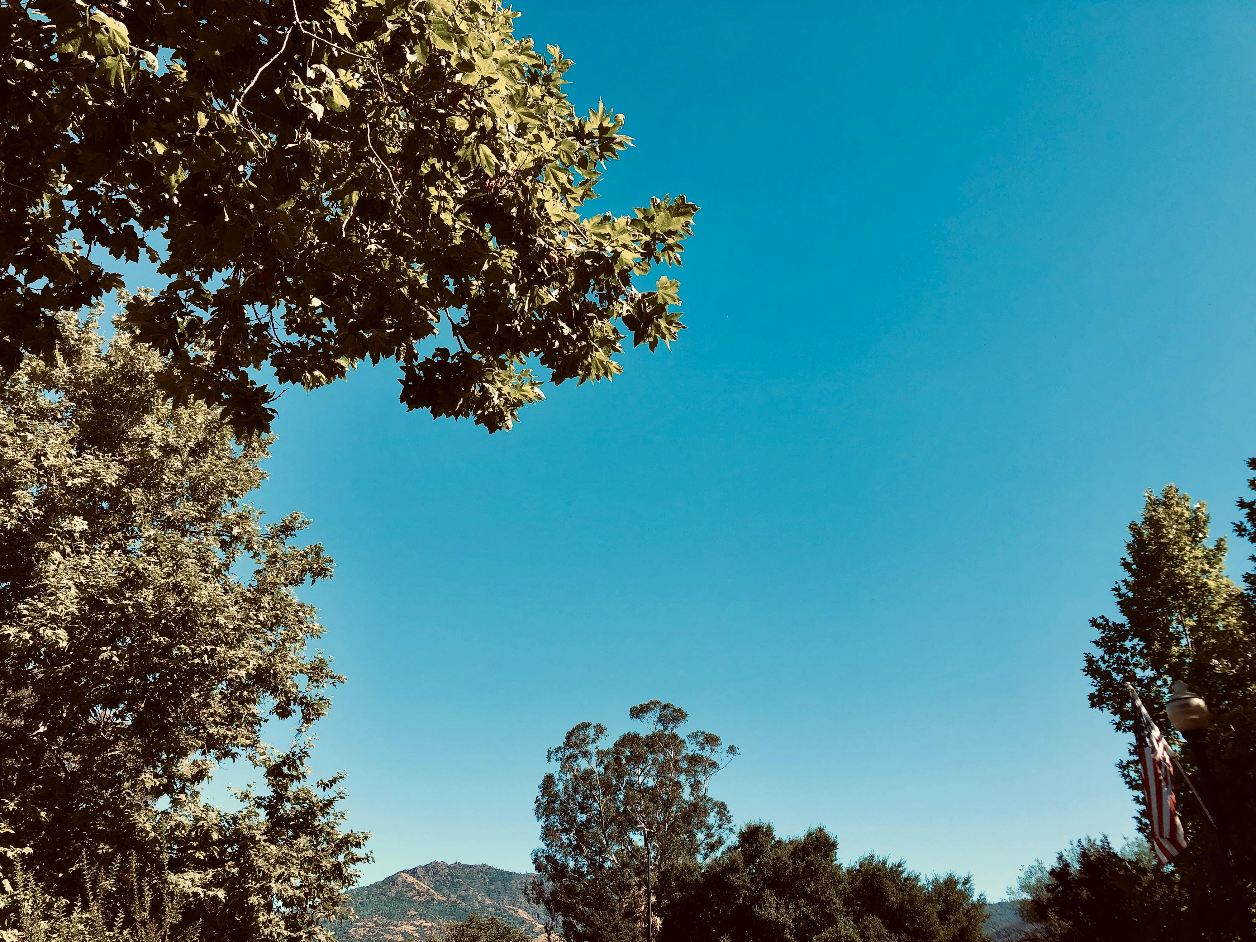 Usa The 4th 20 Photos & Videos Collected by Jean-Marc Tedesco