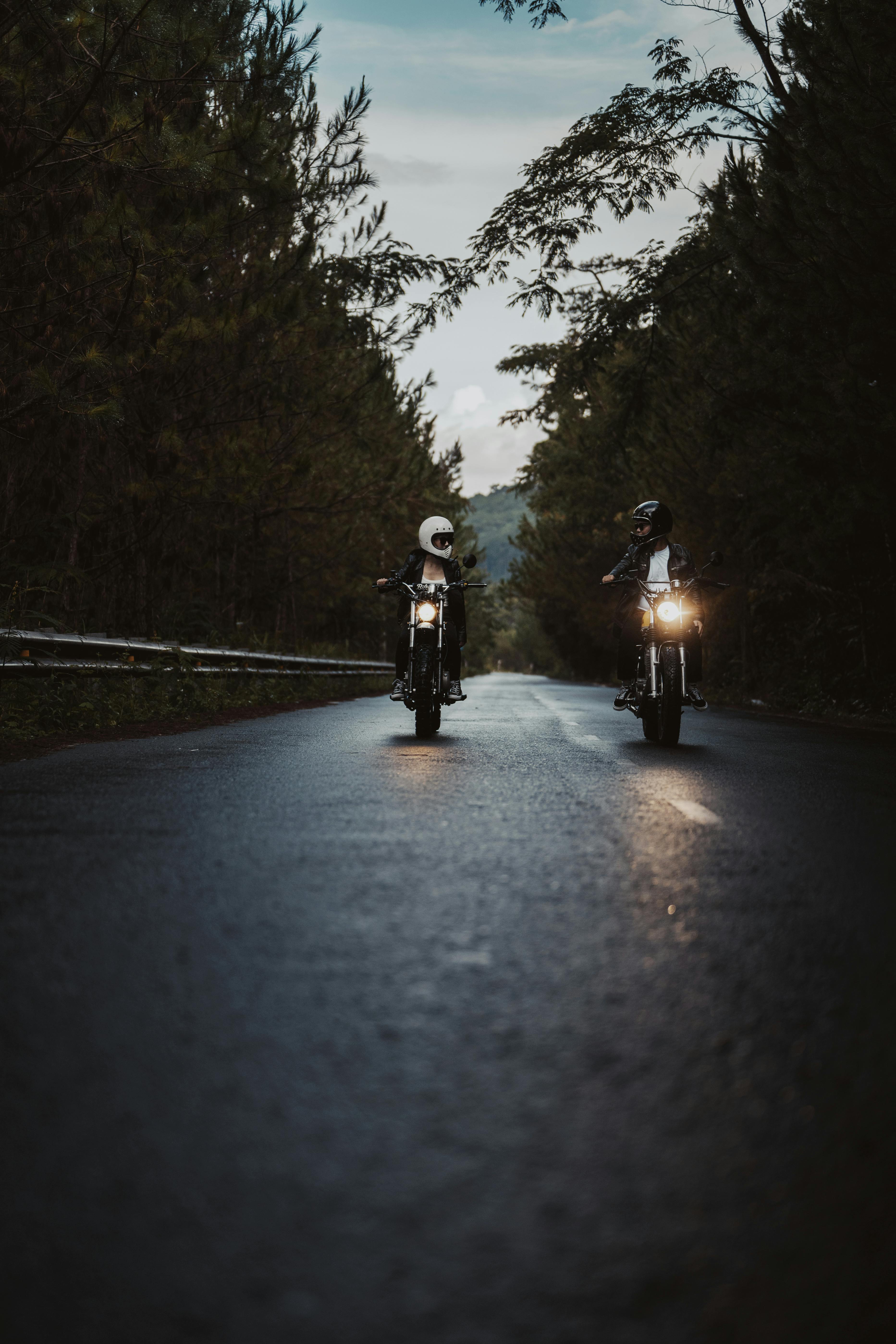 People Riding Motorbikes on Road in Forest · Free Stock Photo