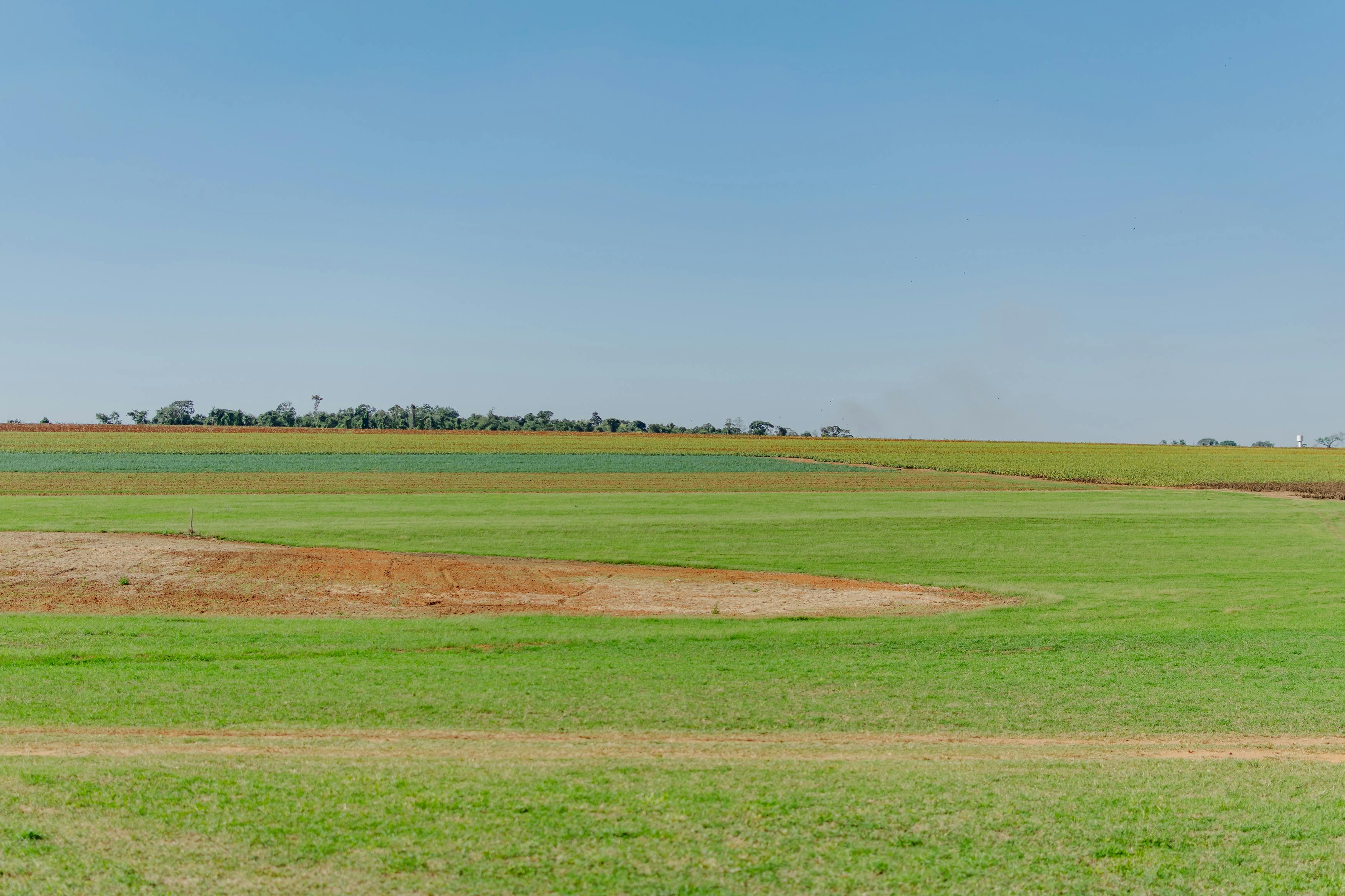 campo · Free Stock Photo