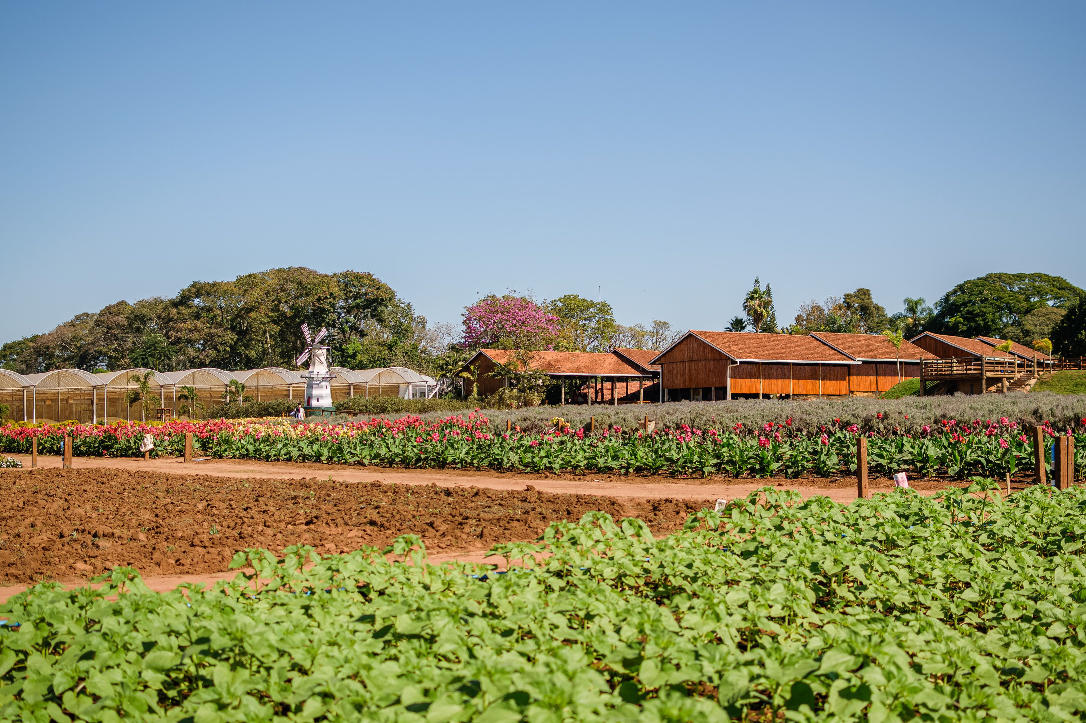 Farm in Countryside · Free Stock Photo