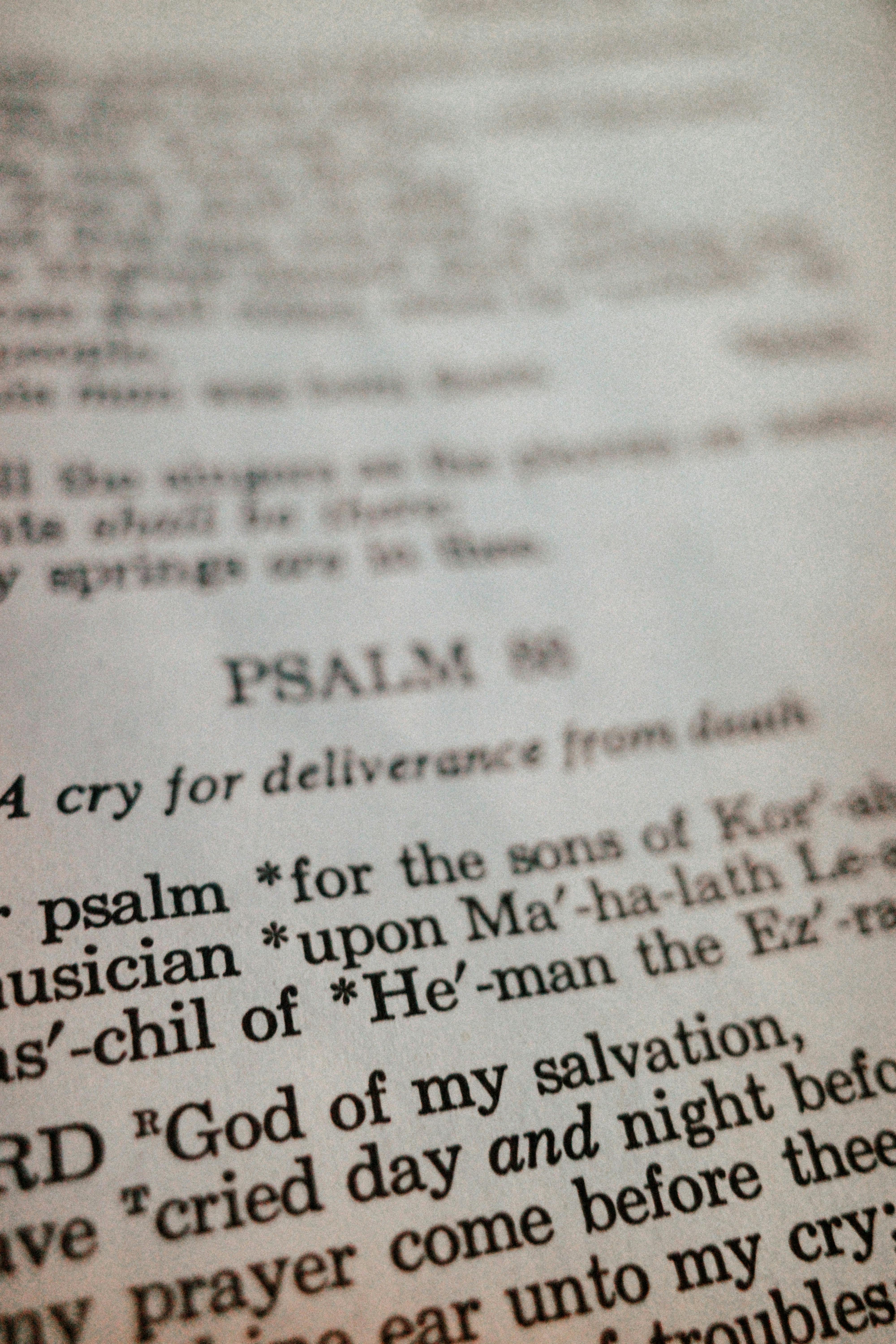 Close up of a Bible Page · Free Stock Photo