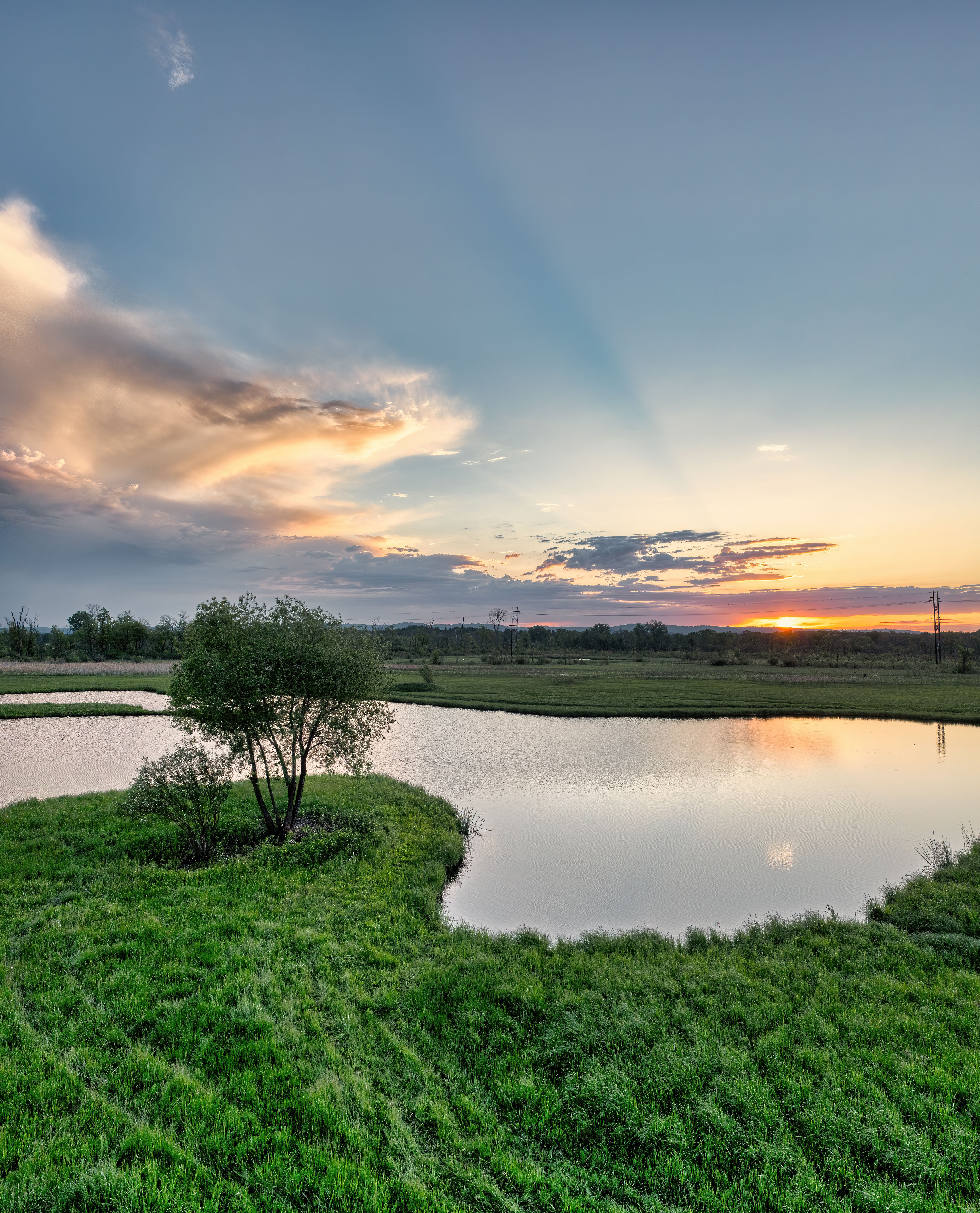 Pond Between Green Fields in Countryside at Dawn · Free Stock Photo