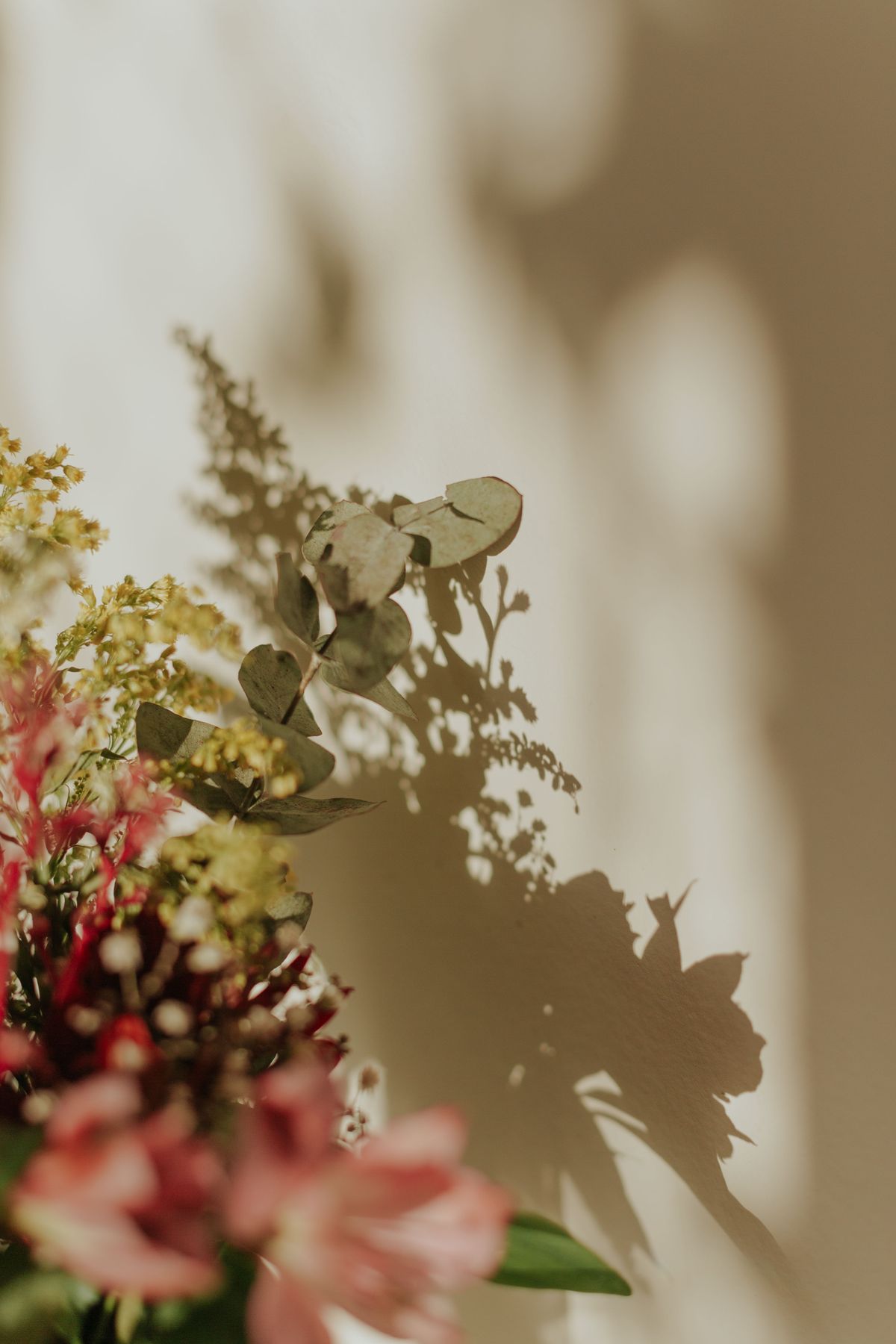 Flowers Wall Shadows Photos, Download The BEST Free Flowers Wall ...