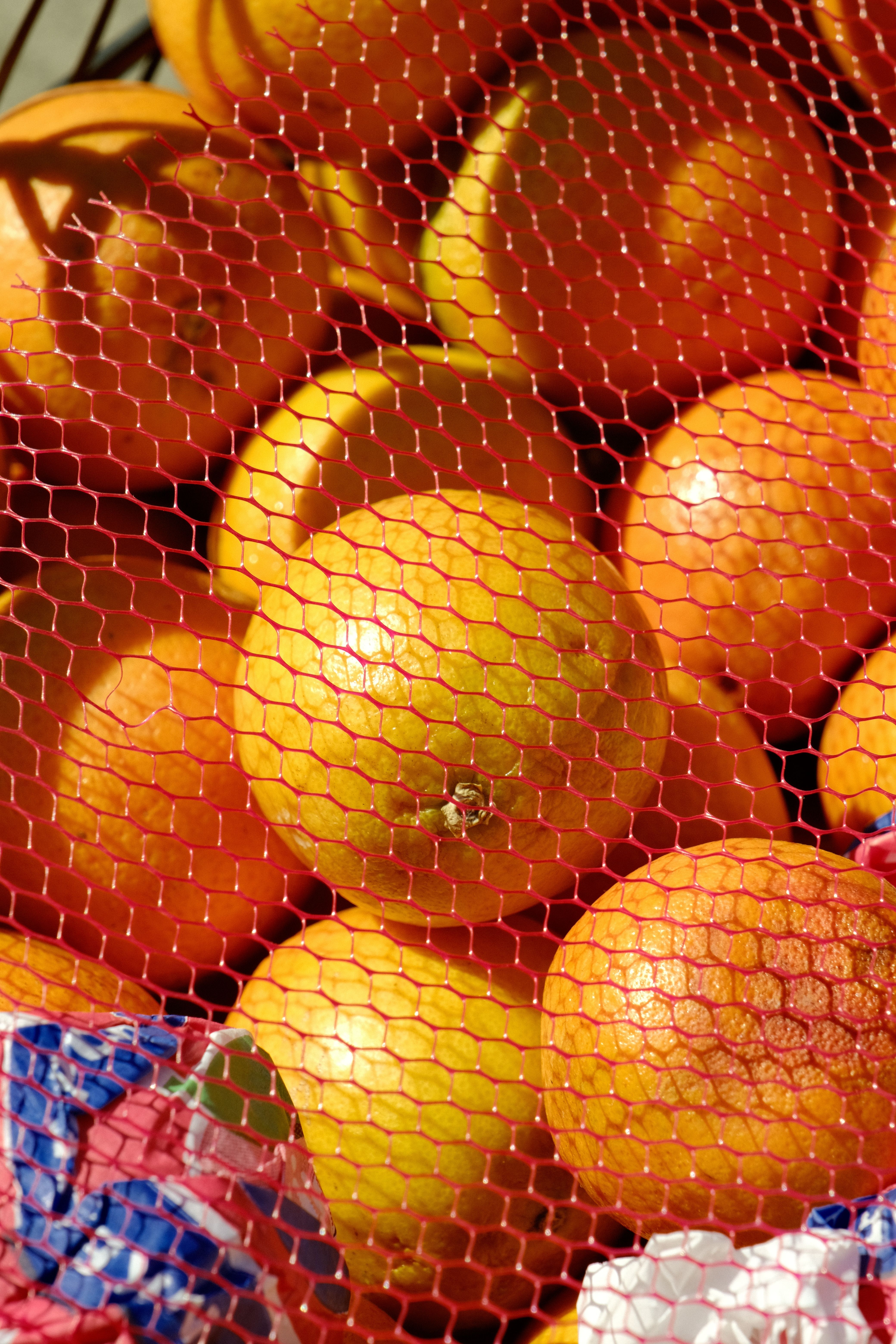Oranges in Mesh Bag · Free Stock Photo