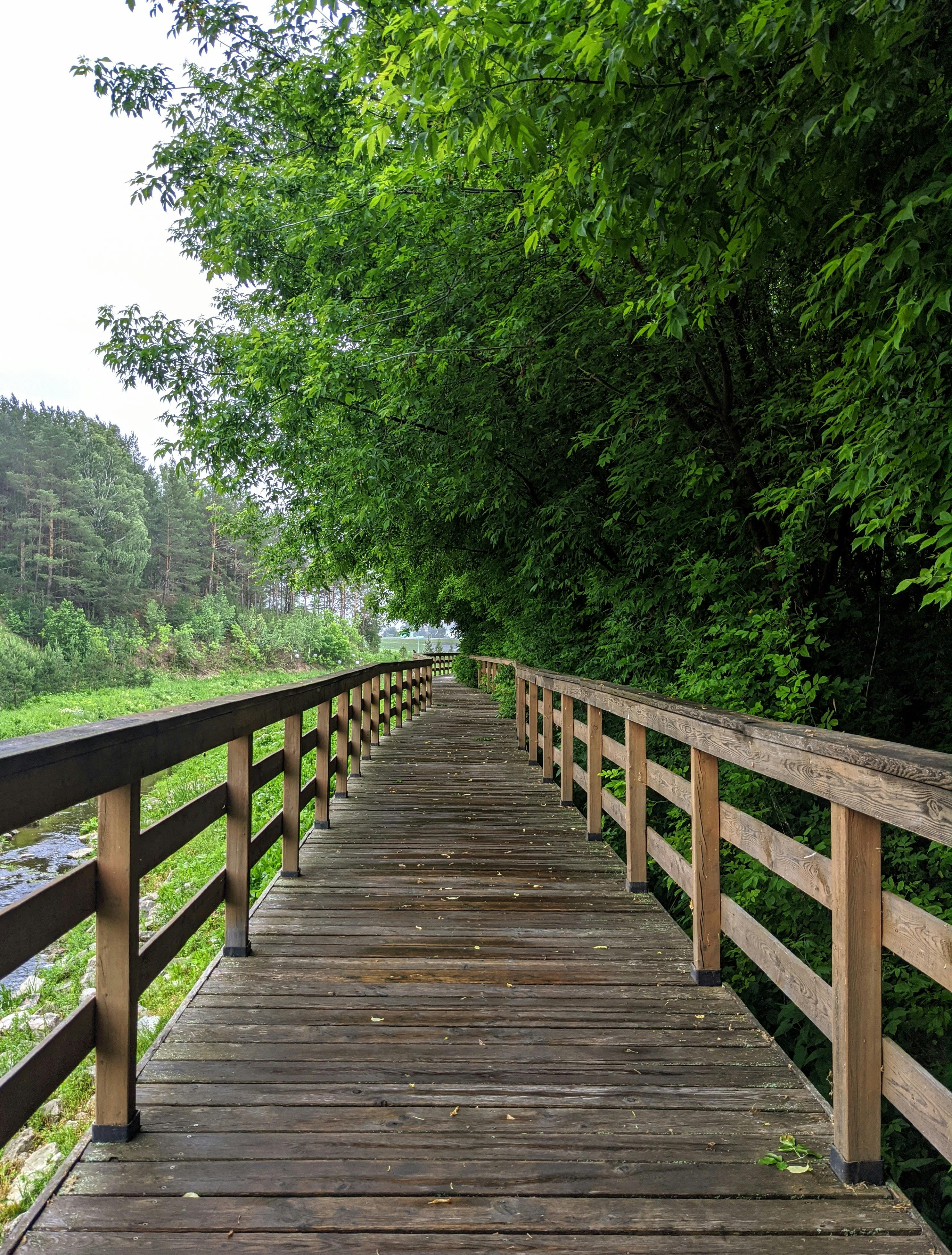 Foto de stock gratuita sobre @al aire libre, al aire libre, árboles ...