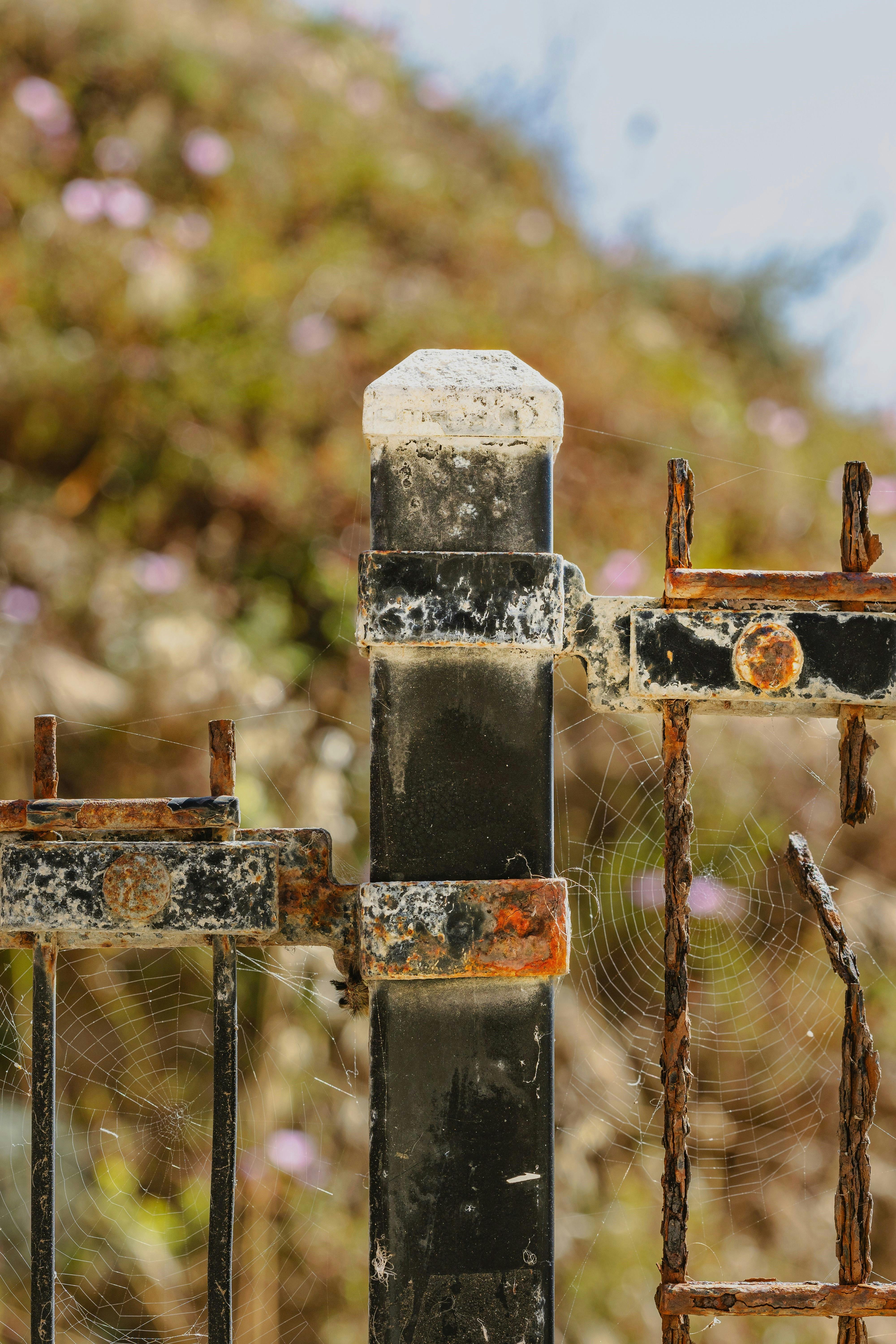 Old Rusty Steel Fence with Cobwebs · Free Stock Photo