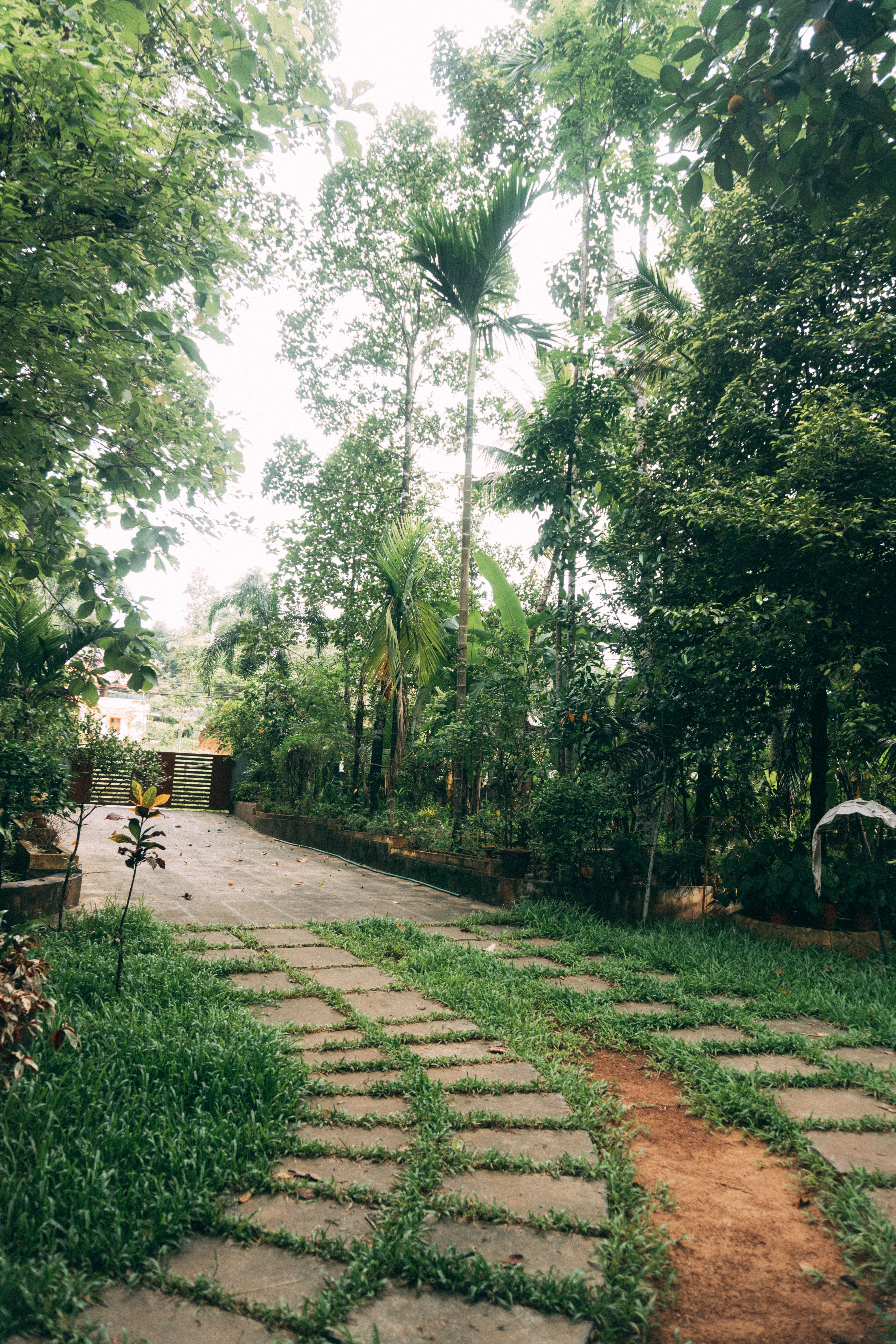 Driveway in Summer · Free Stock Photo