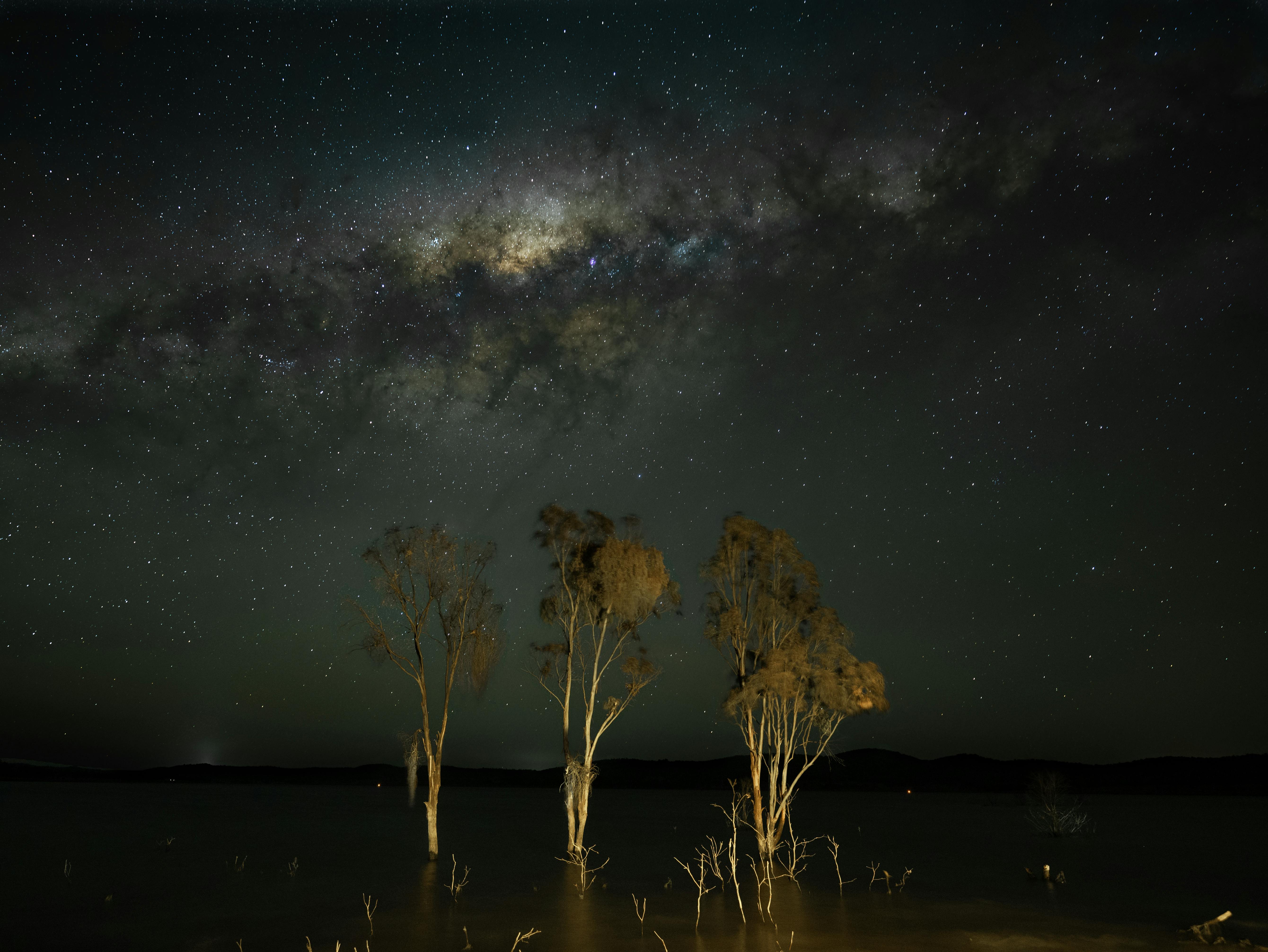 Star Swamp Photos, Download The BEST Free Star Swamp Stock Photos & HD ...