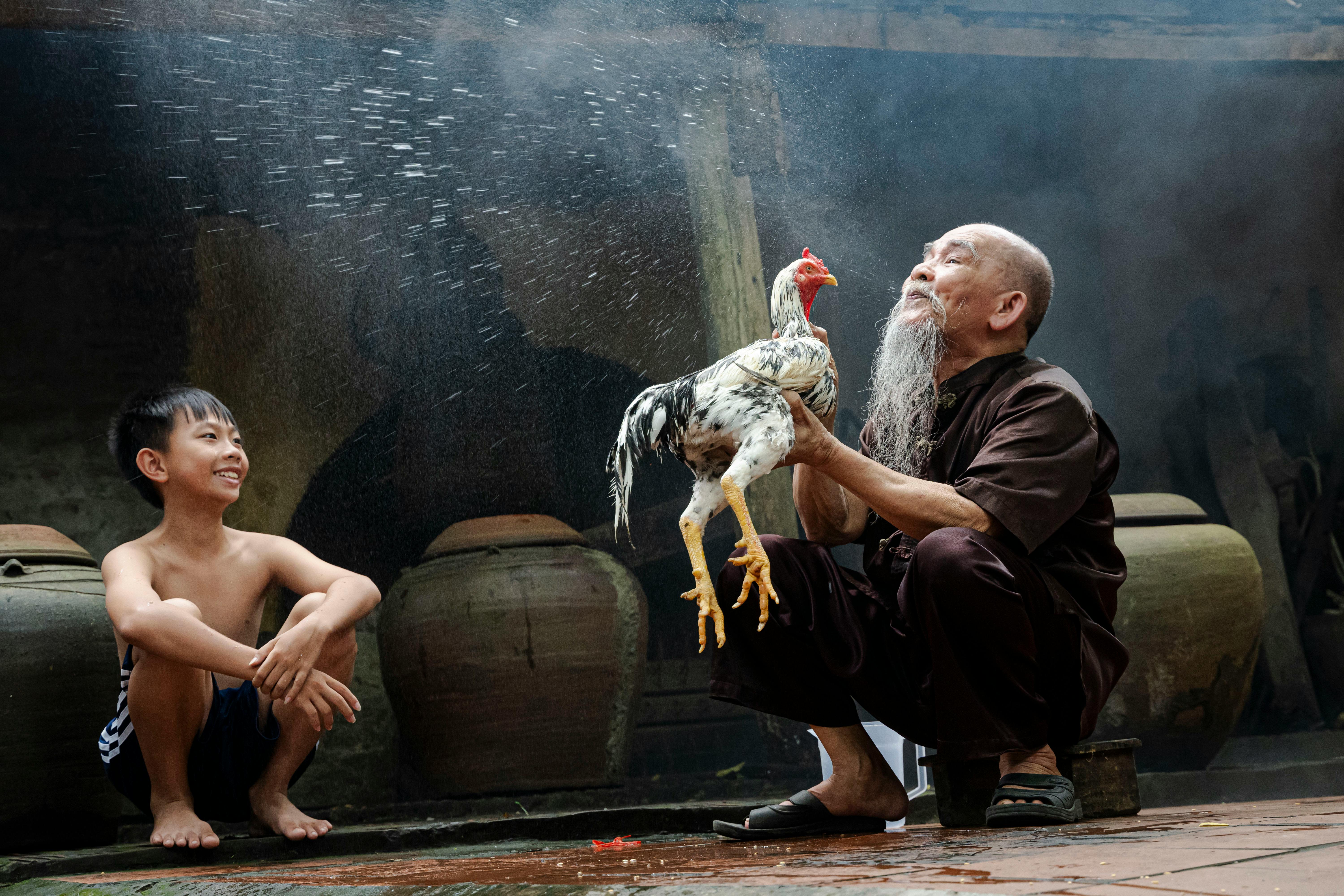 Smiling Boy Sitting with Elderly Man Holding Rooster · Free Stock Photo