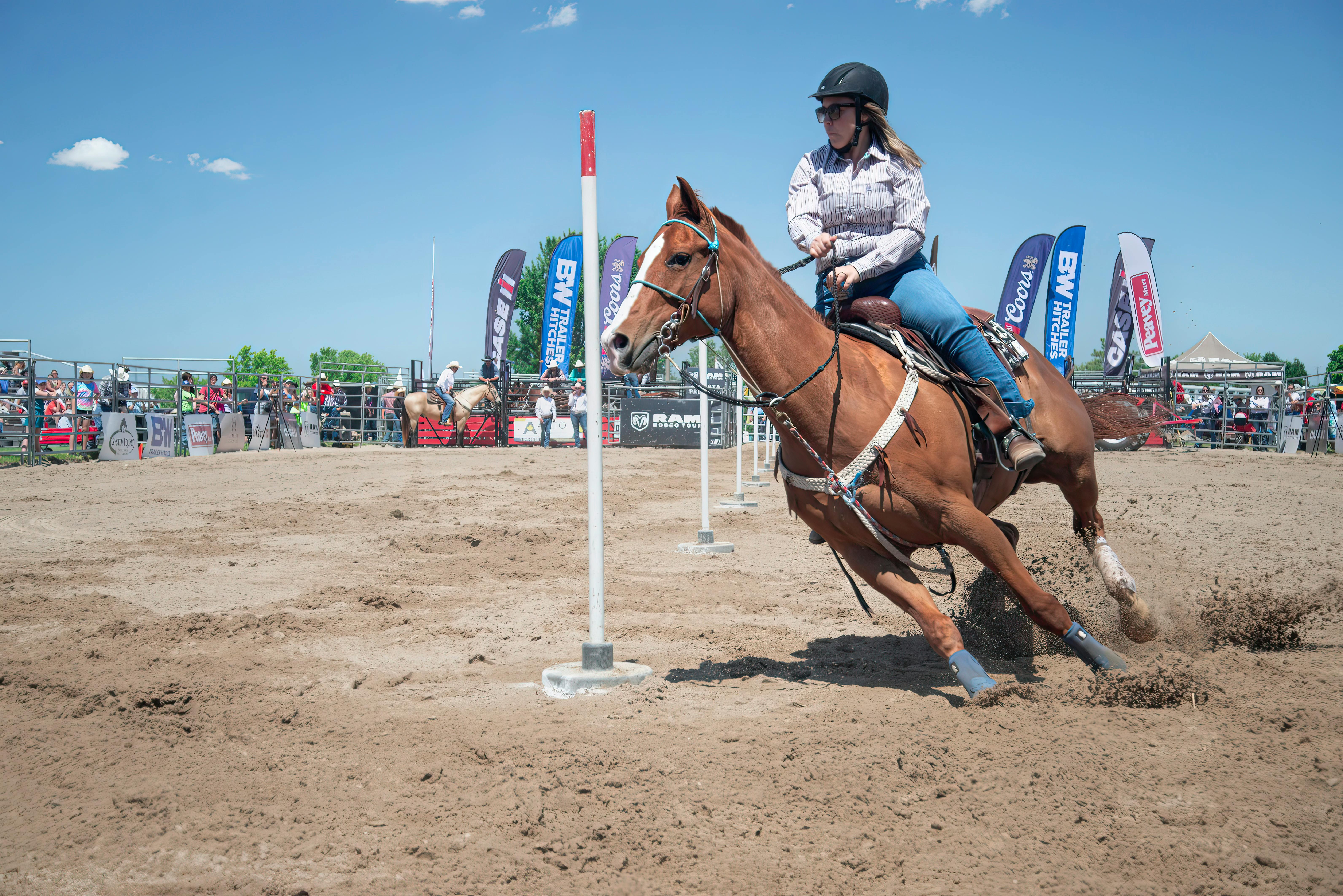 rodeo · Free Stock Photo