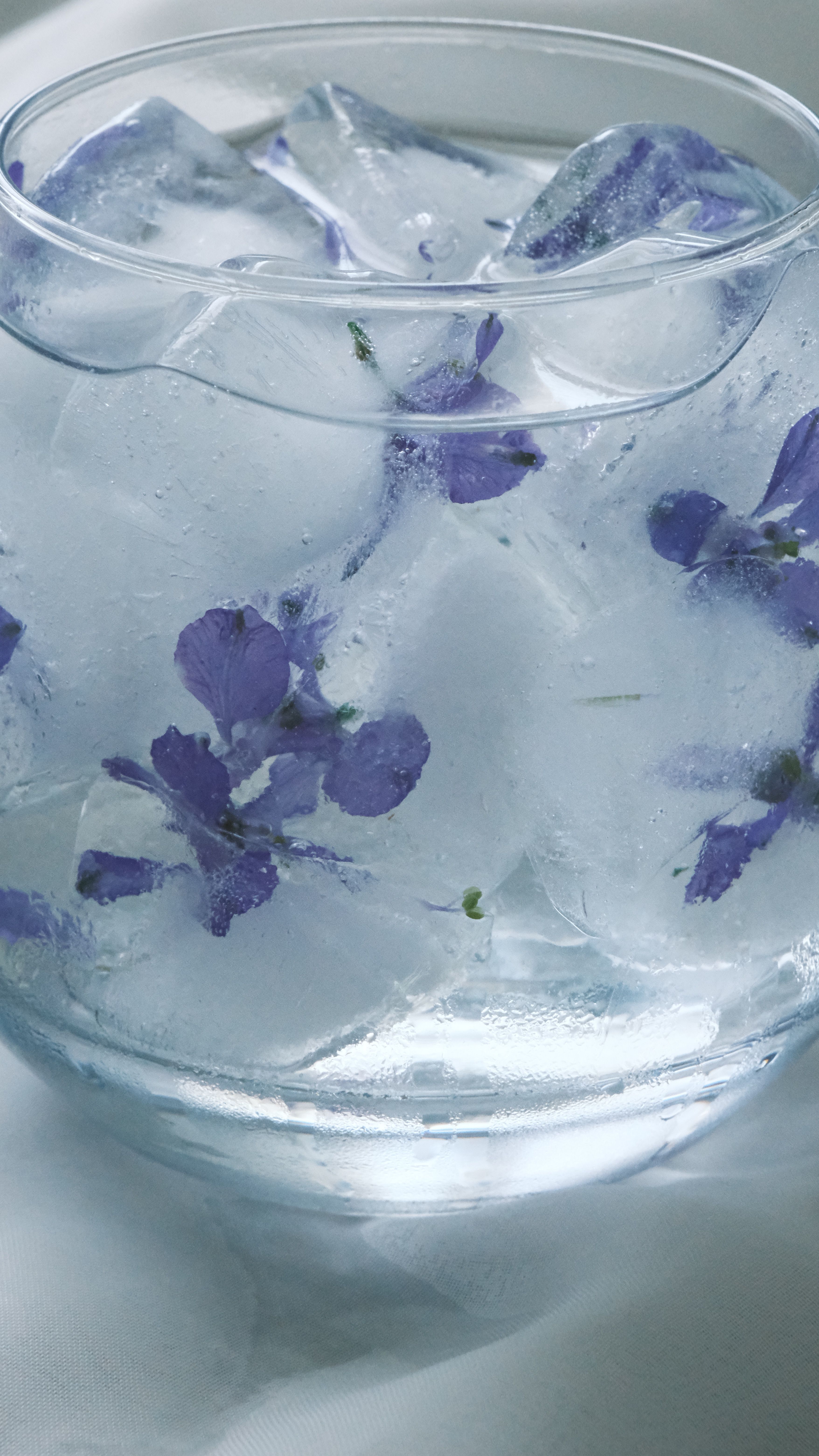 Close-up of a Glass of Infused Water with Flower Ice Cubes · Free Stock ...