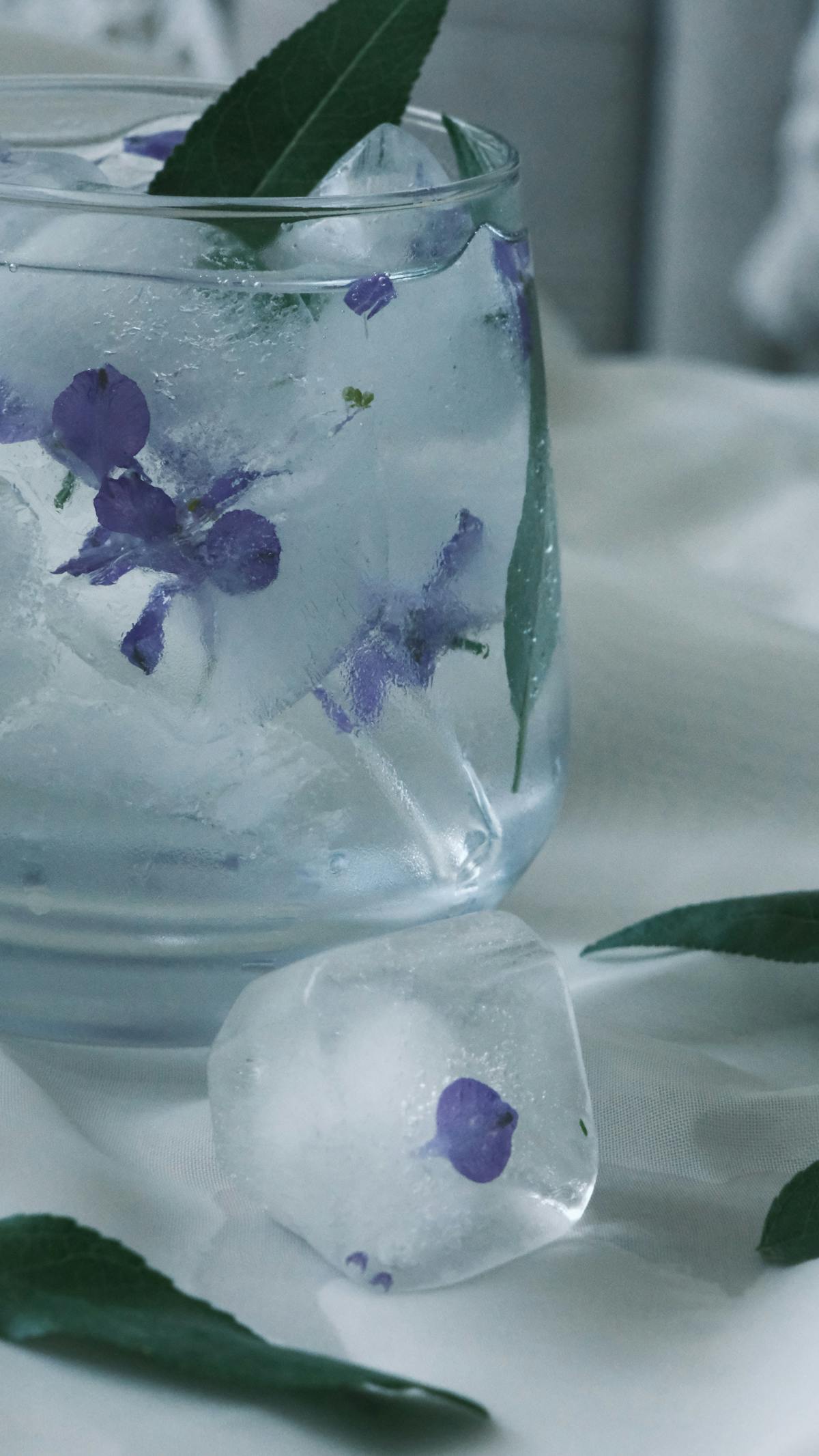 Forget Me Nots Photos, Download The BEST Free Forget Me Nots Stock ...