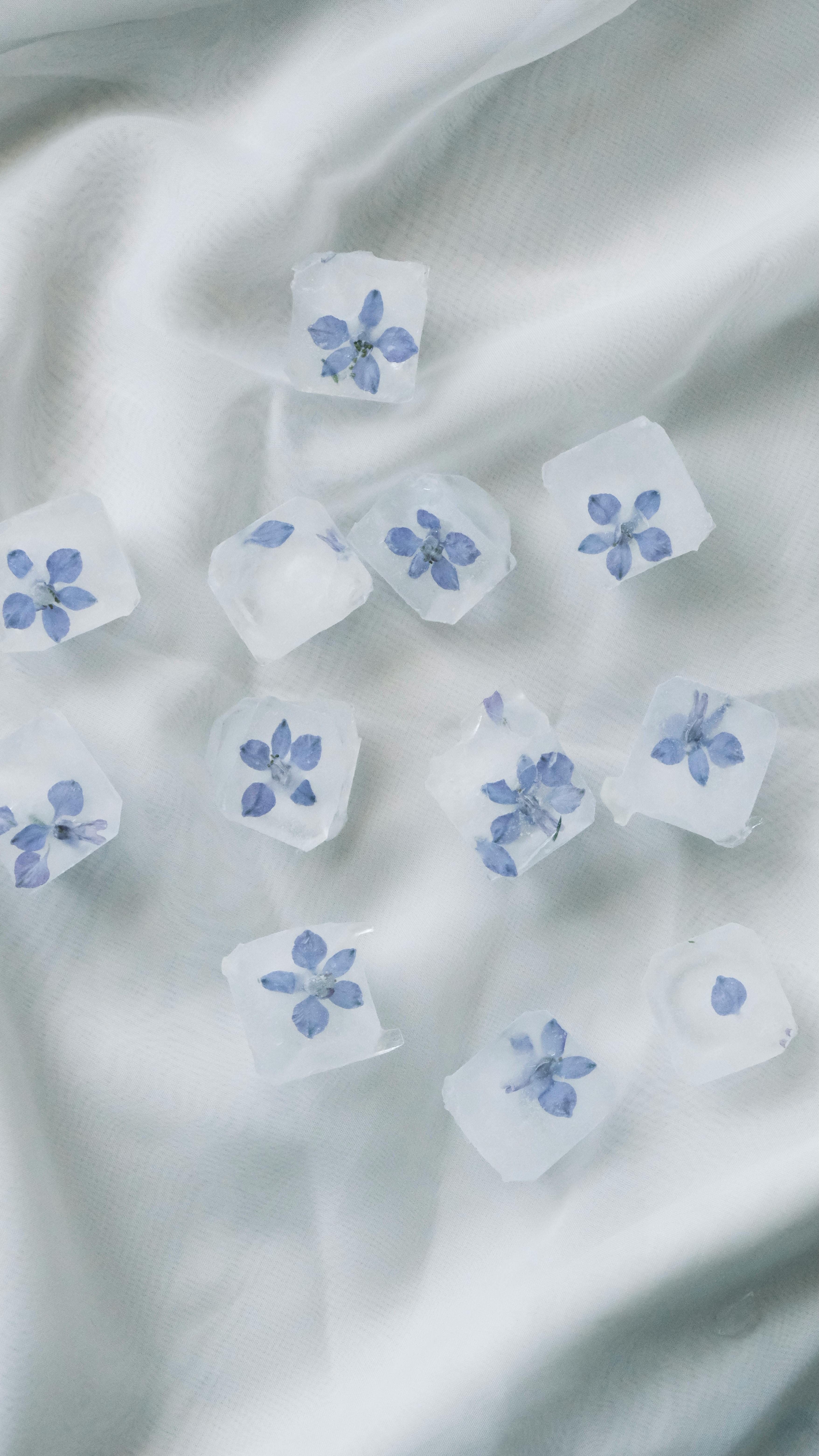 Ice Cubes with Blue Edible Flowers · Free Stock Photo