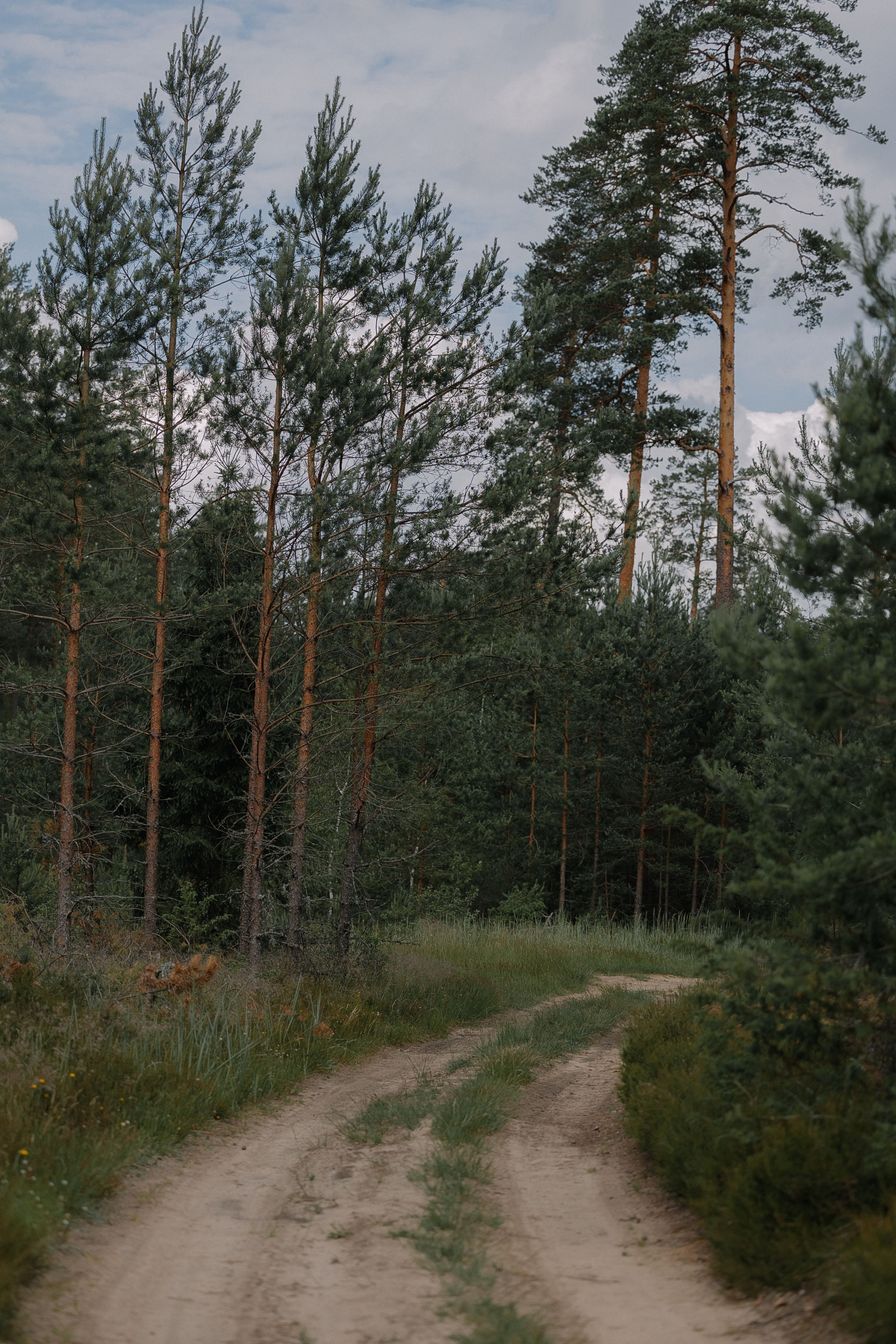 Cartway Photos, Download The BEST Free Cartway Stock Photos & HD Images