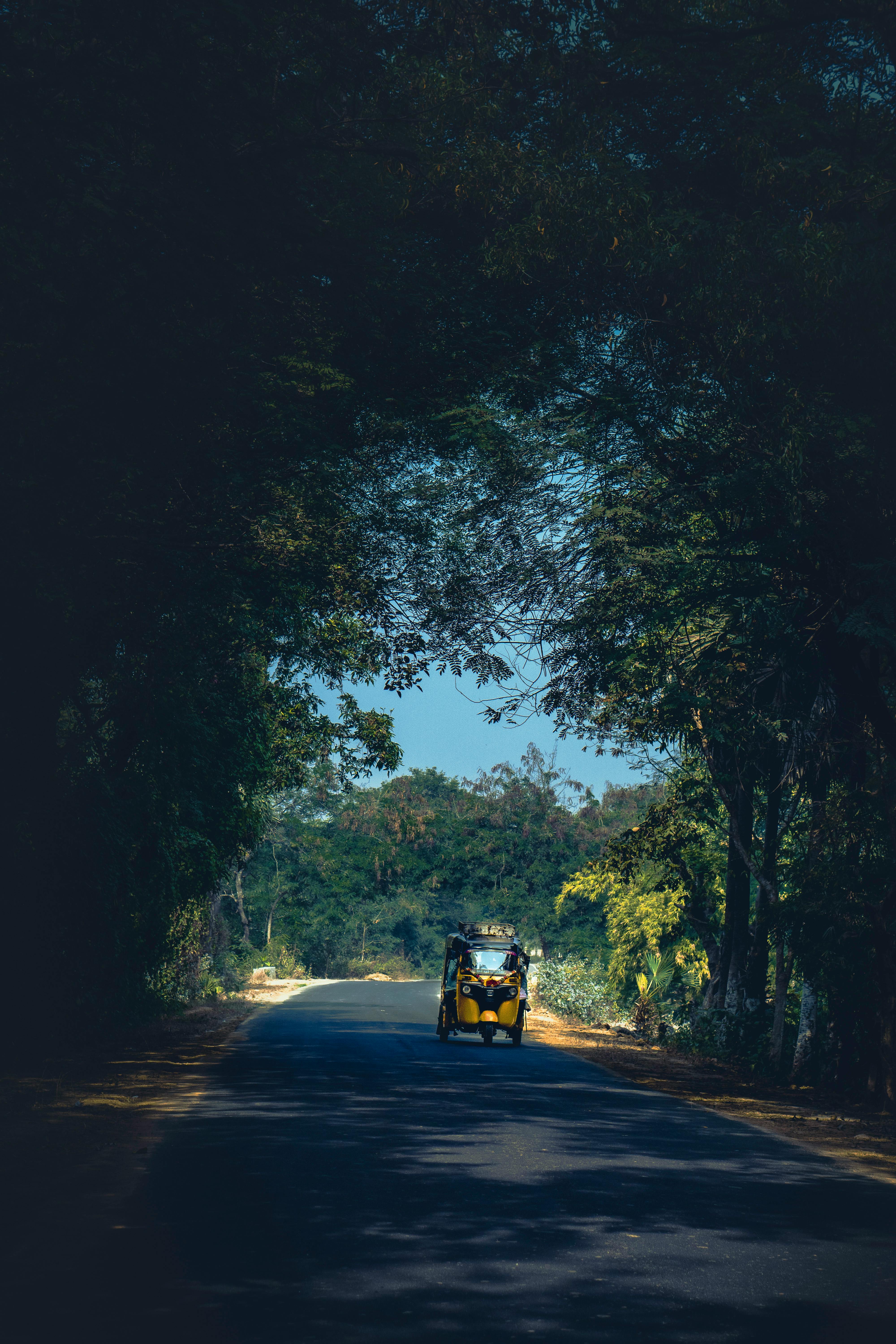 Auto Rickshaw on an Asphalt Road · Free Stock Photo