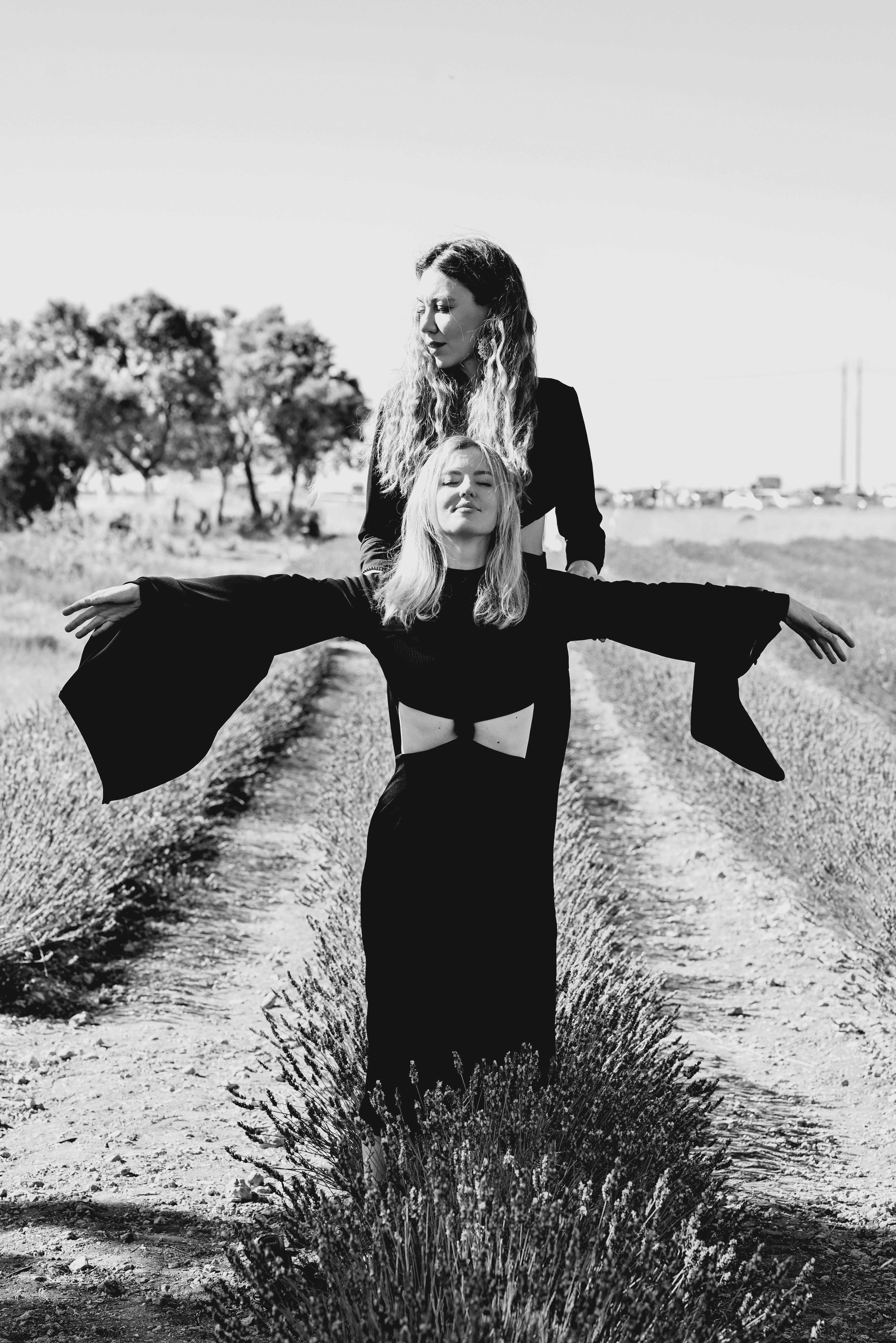 Tree Pathway Photos, Download The BEST Free Tree Pathway Stock Photos ...