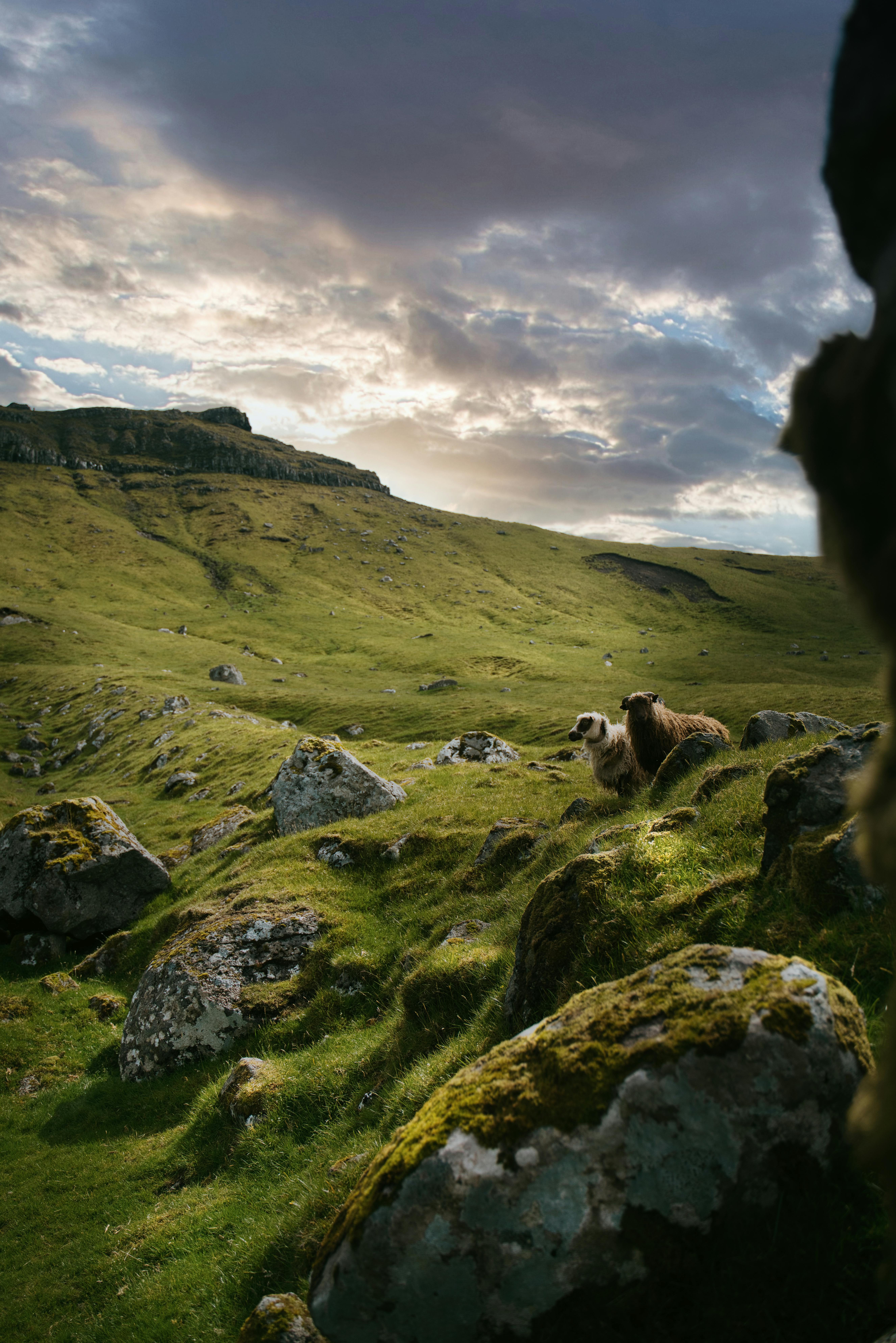 Tom Swinnen - 摄影