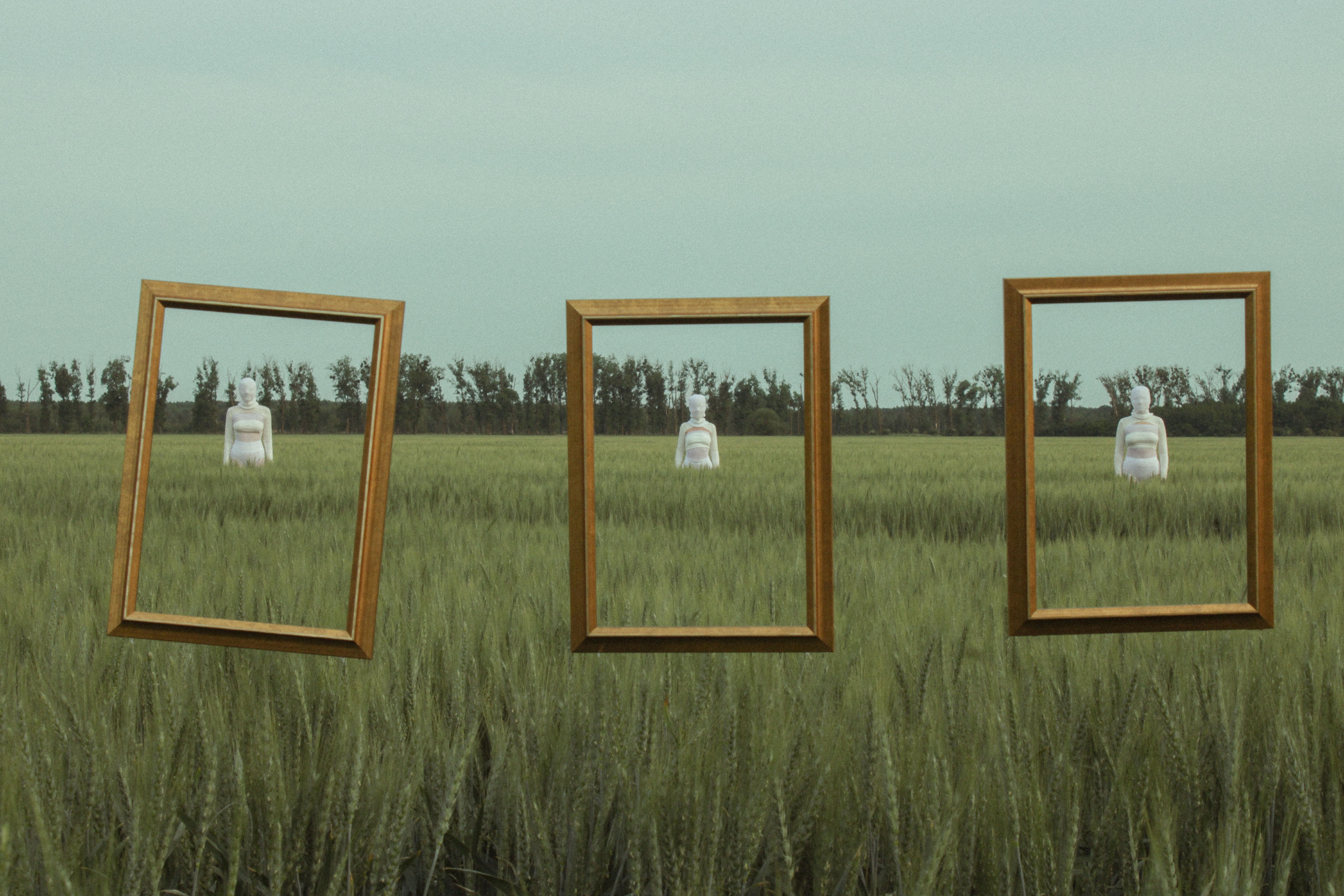 Three frames are hanging in a field · Free Stock Photo
