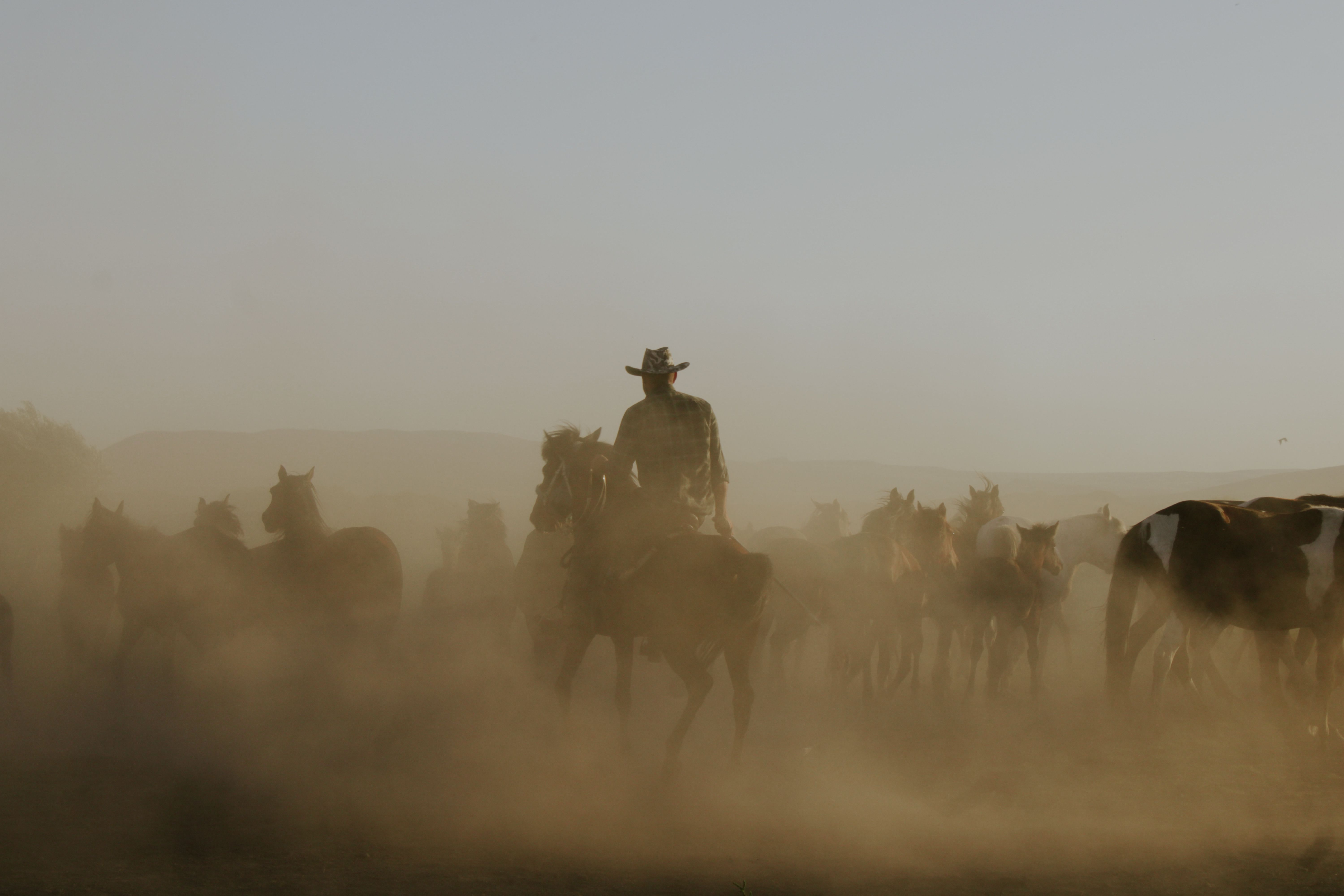 A Man Horseback Riding on a Dusty Pasture · Free Stock Photo