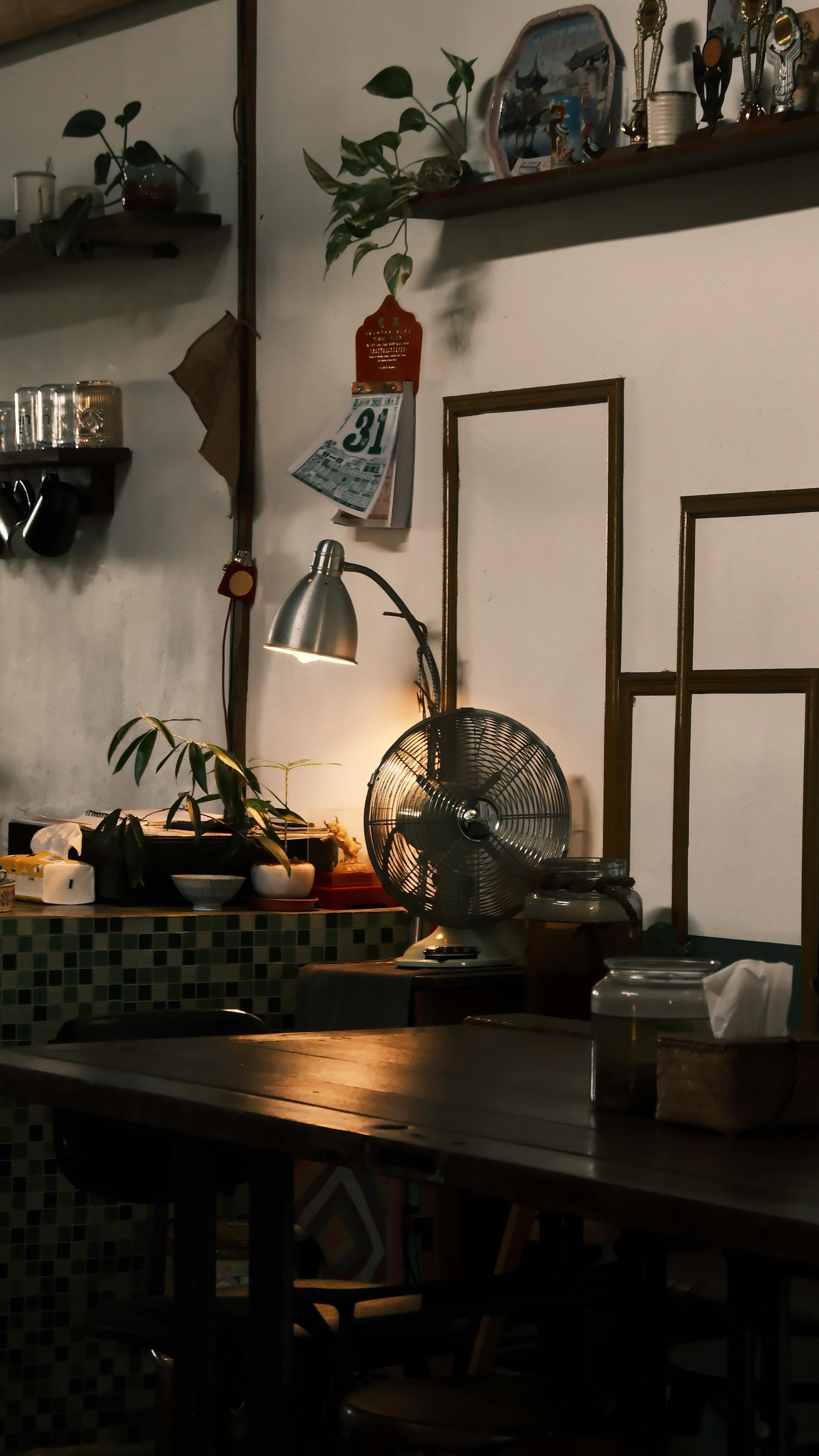 Fan, Lamp, Calendar and Plants on Wall in House · Free Stock Photo