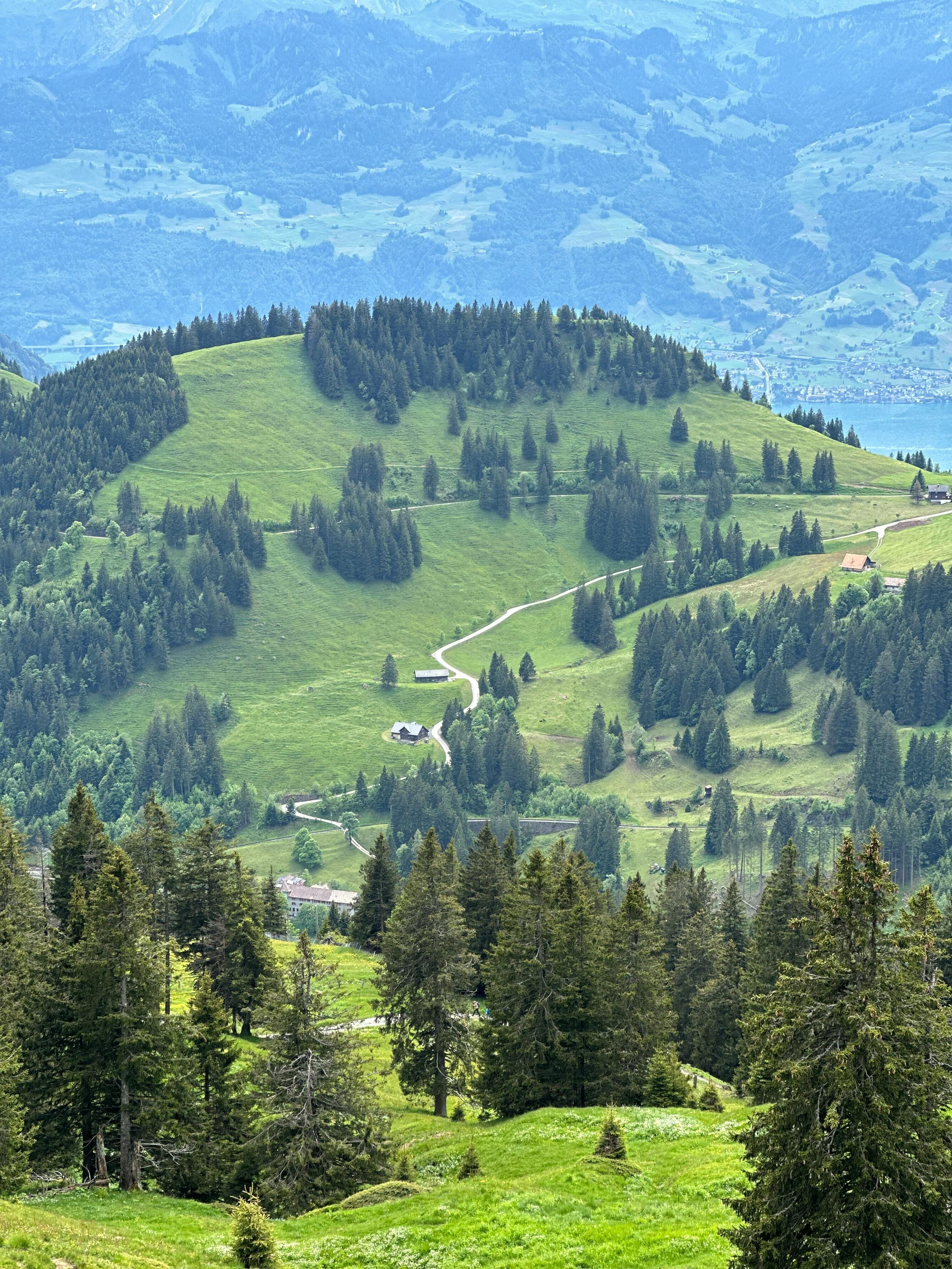 Green Arth Photos, Download The BEST Free Green Arth Stock Photos & HD ...