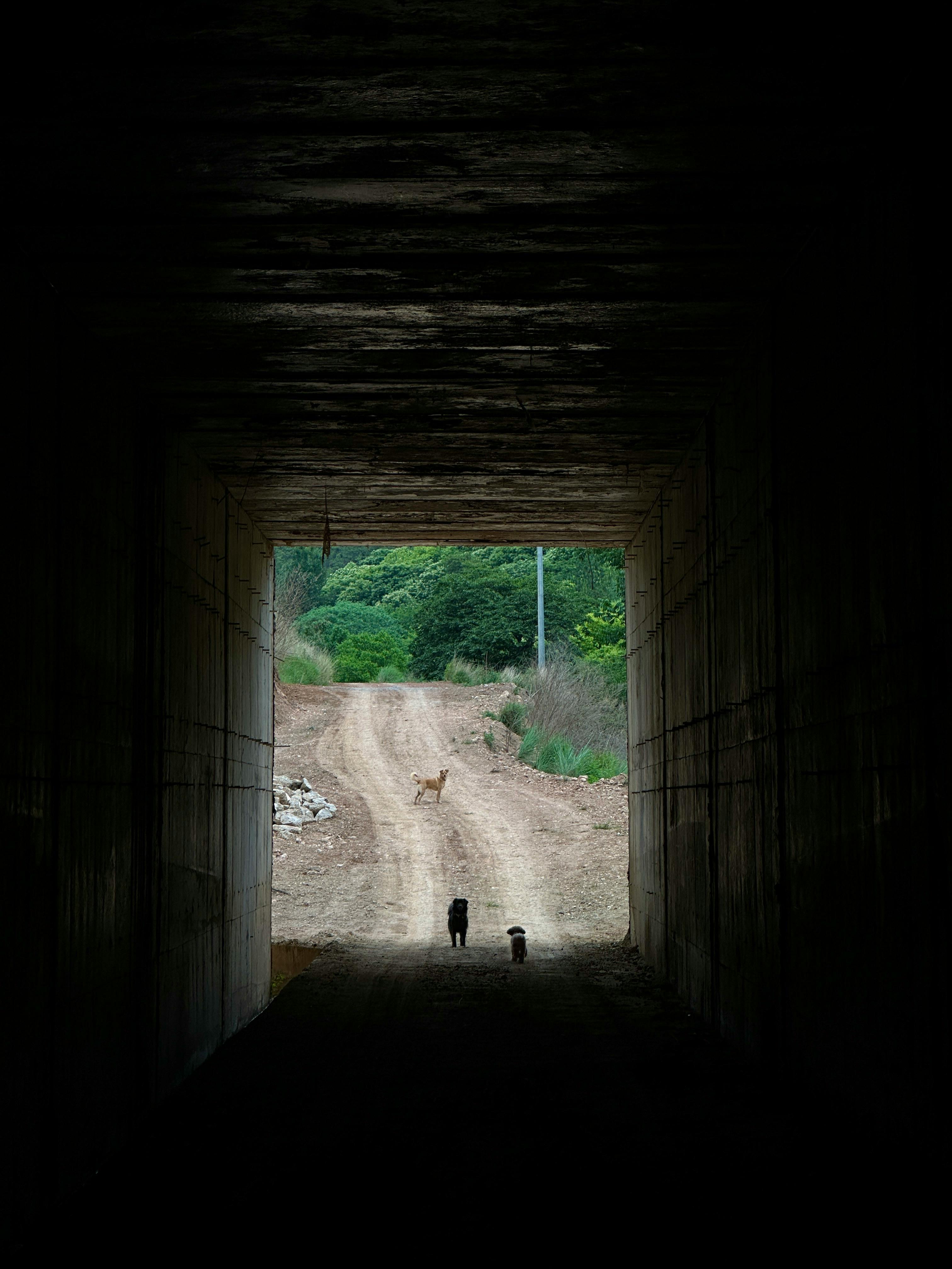 Country Hidden Road Photos, Download The BEST Free Country Hidden Road ...