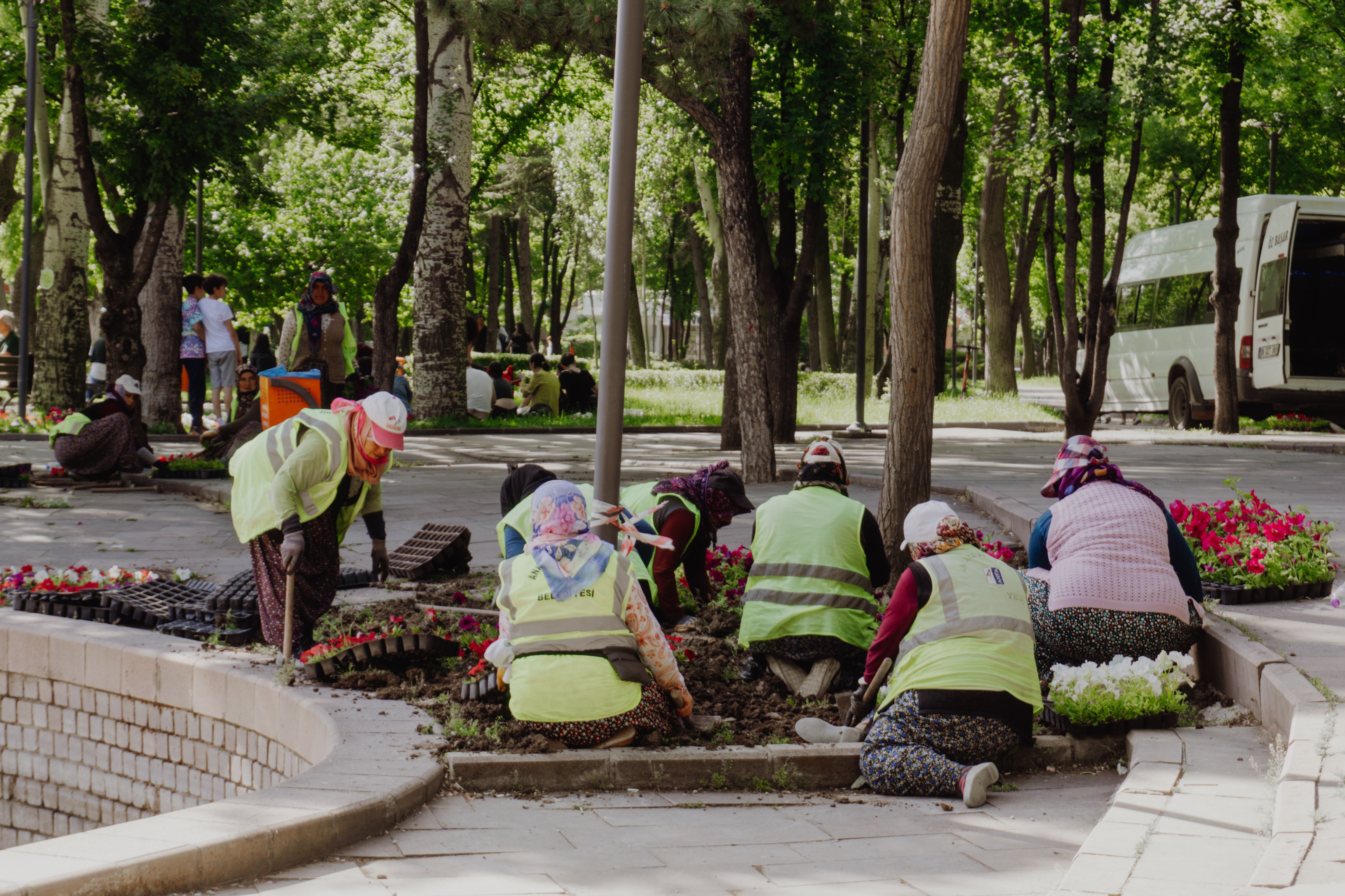 People Planting Flowers in a Park · Free Stock Photo