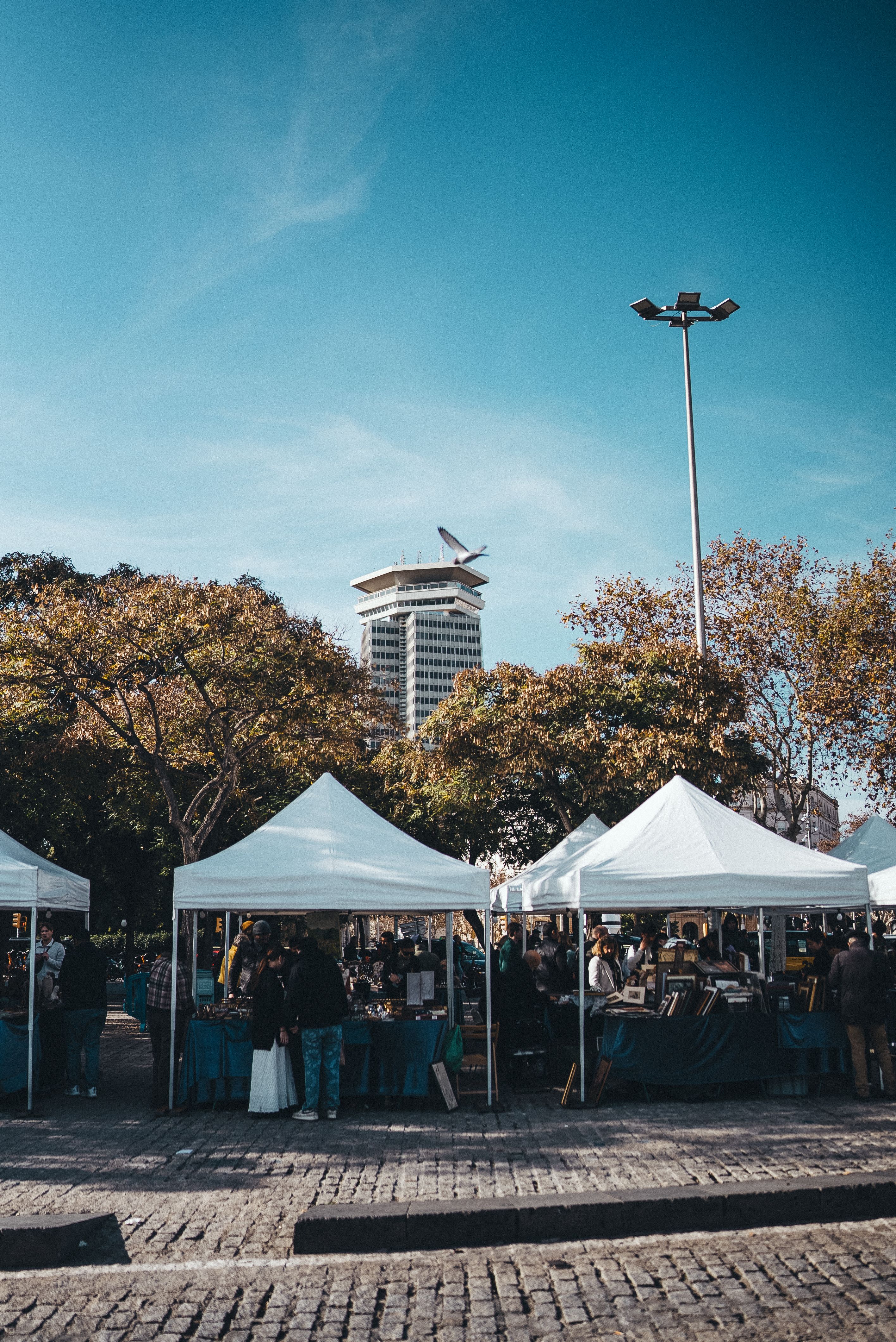 Events Tents Photos, Download The BEST Free Events Tents Stock Photos ...