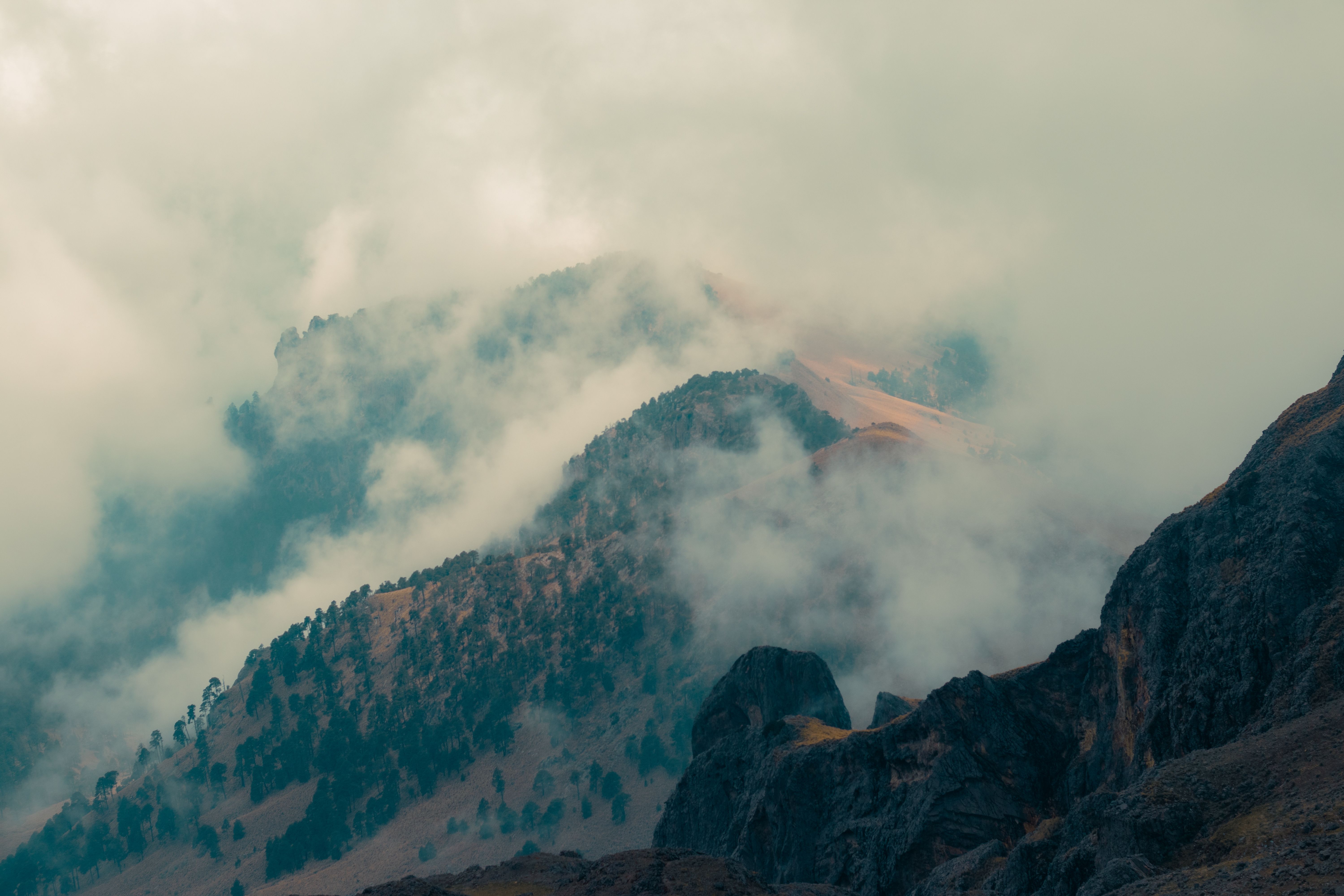 Photo of Person Standing on Cliff Edge · Free Stock Photo