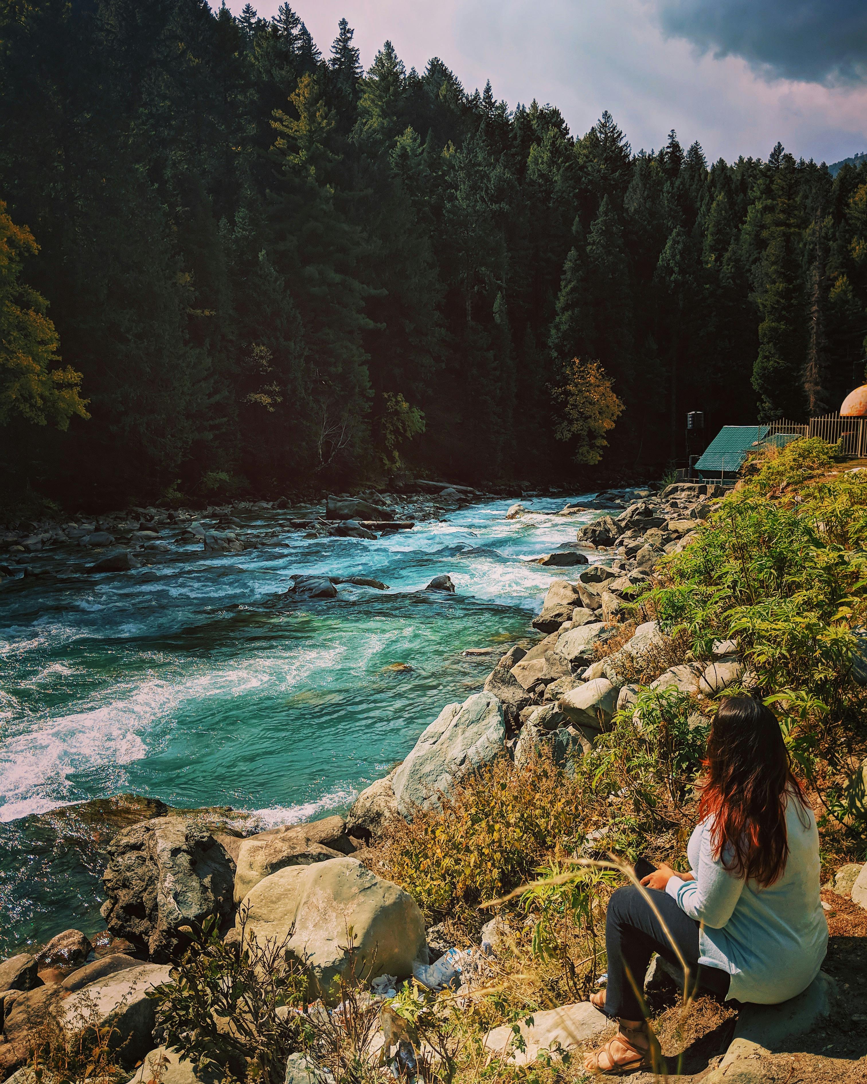 Woman Sitting Beside the River · Free Stock Photo
