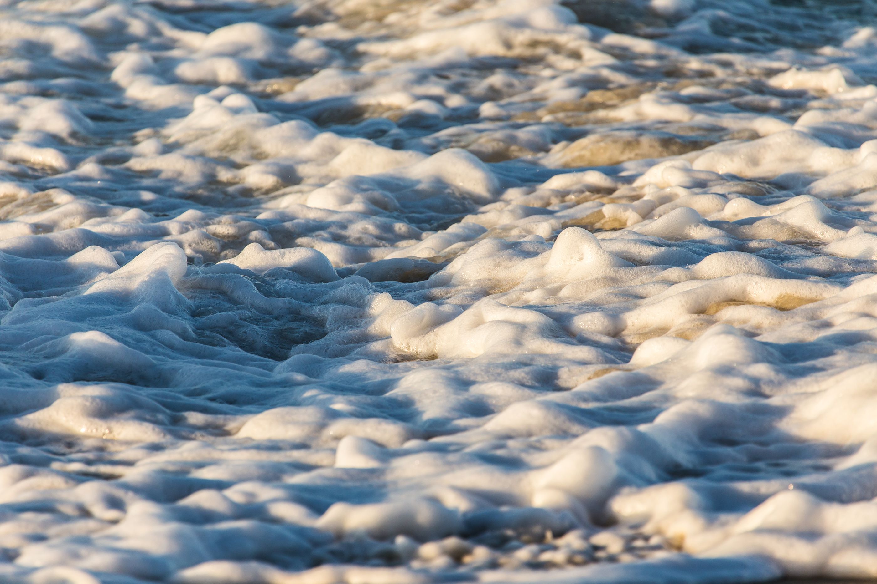 Espuma De Mar · Foto de stock gratuita
