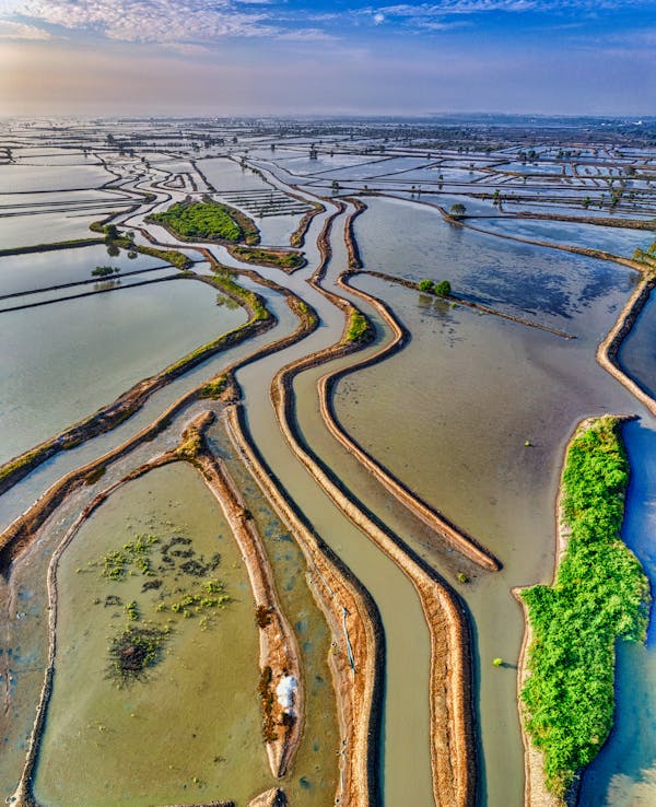 Pontang Photos, Download The BEST Free Pontang Stock Photos & HD Images