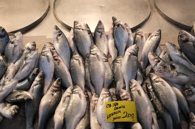 Uruguay Fish Delights: Your Seafood Trip Guide