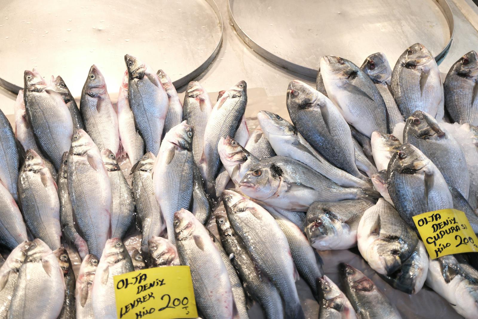 Fish Price Website Photos, Download The BEST Free Fish Price Website ...
