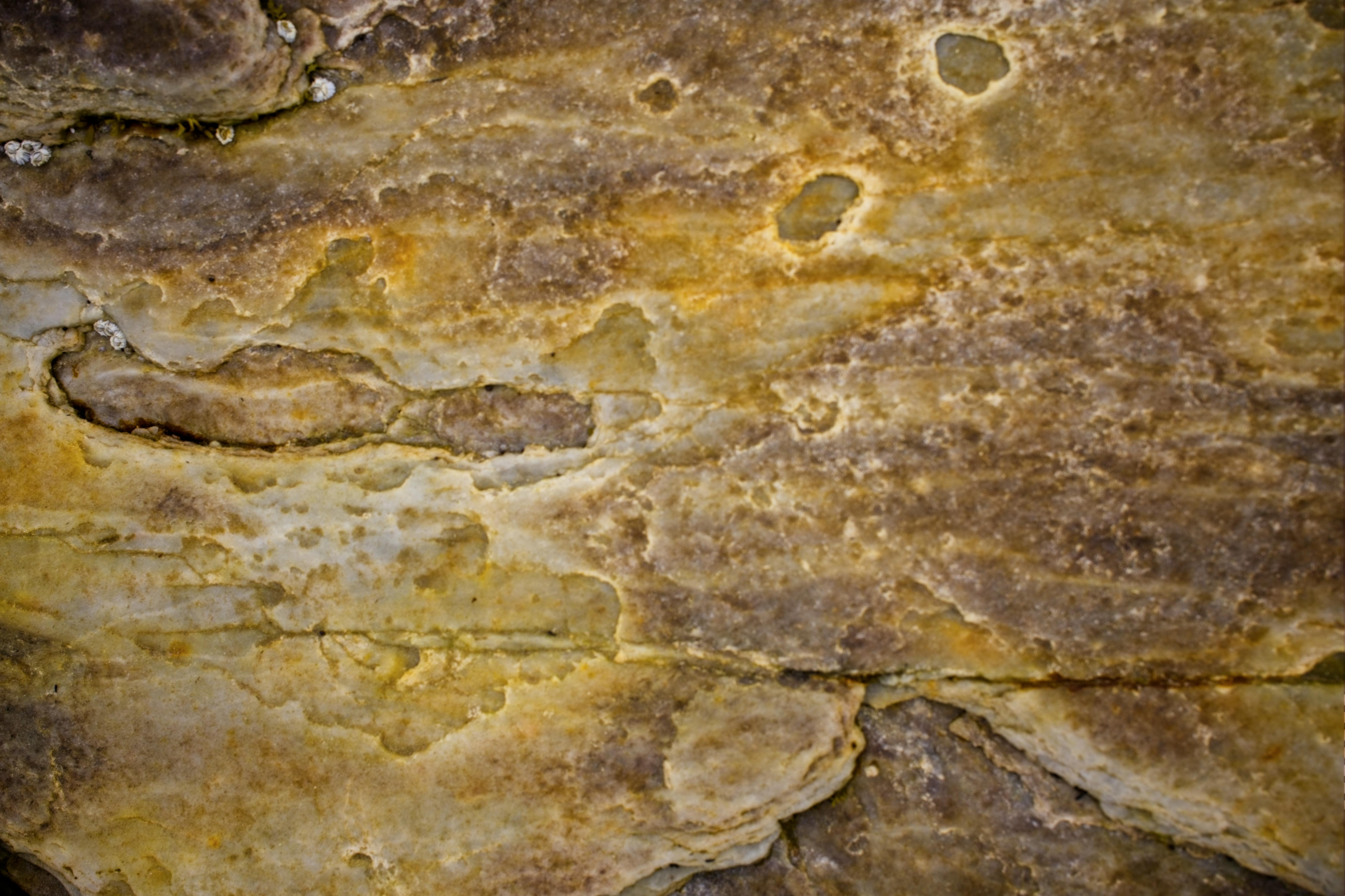 Robert Clark - Photography