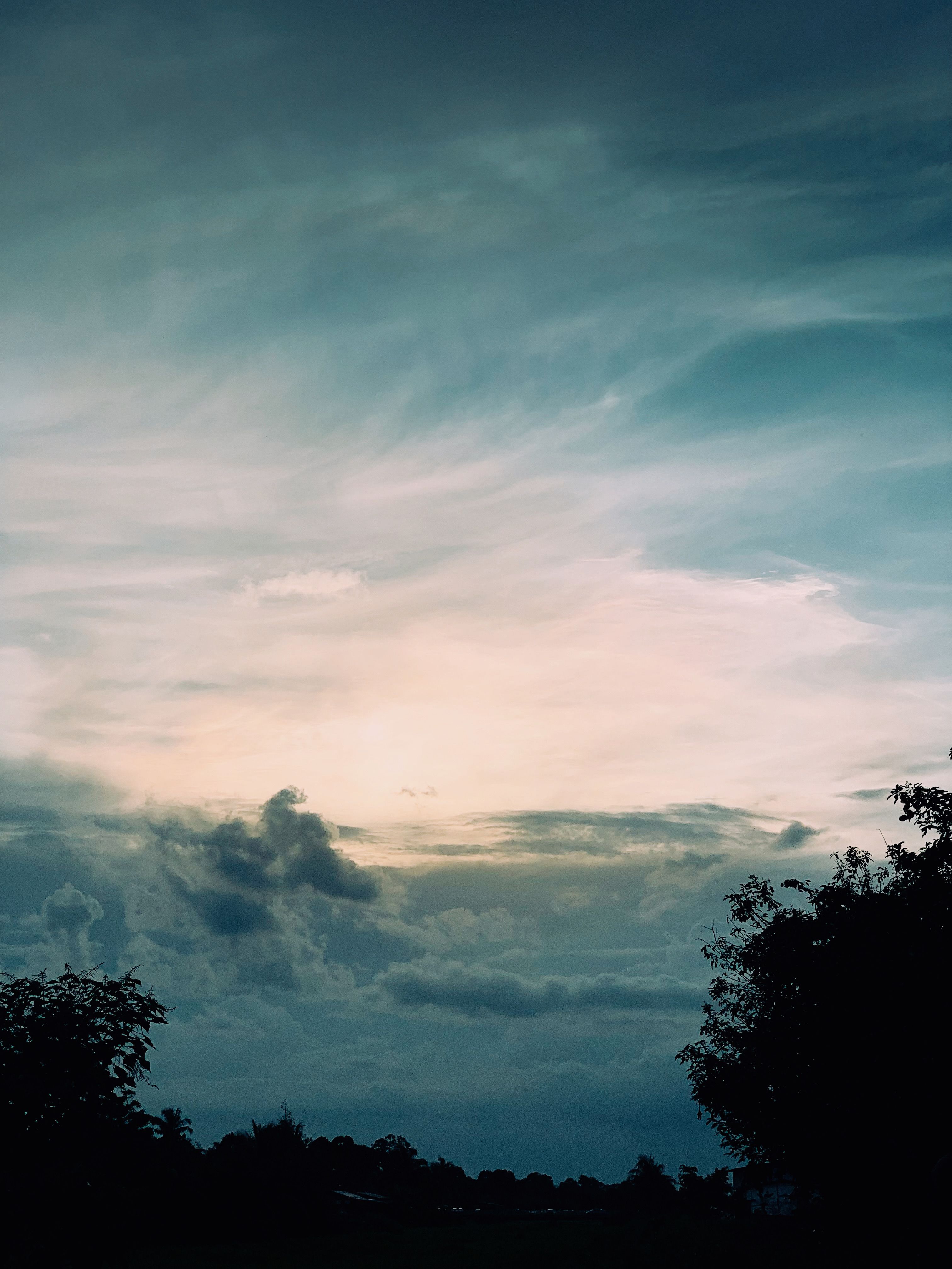 Pexels User - Photography