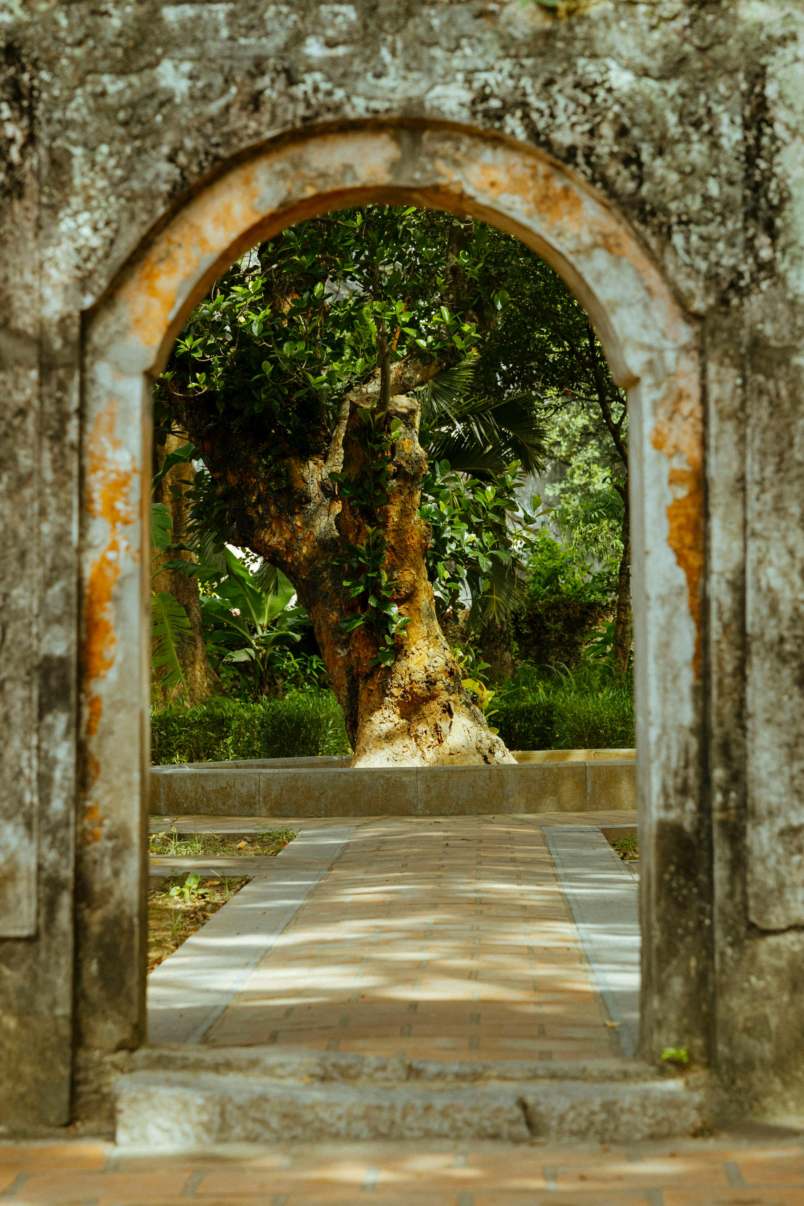 Tree behind a Stone Archway · Free Stock Photo
