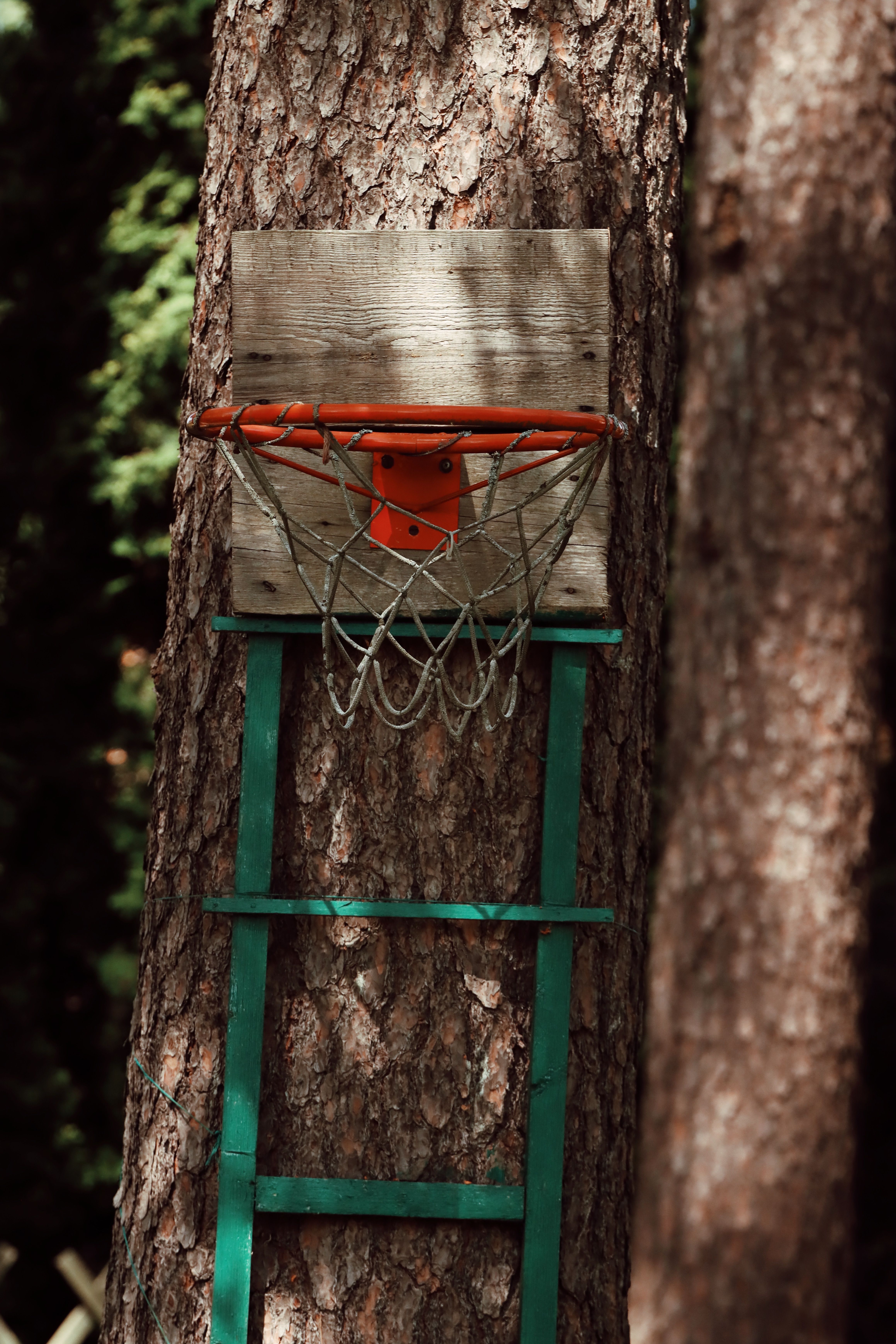 Basketball Hoop · Free Stock Photo
