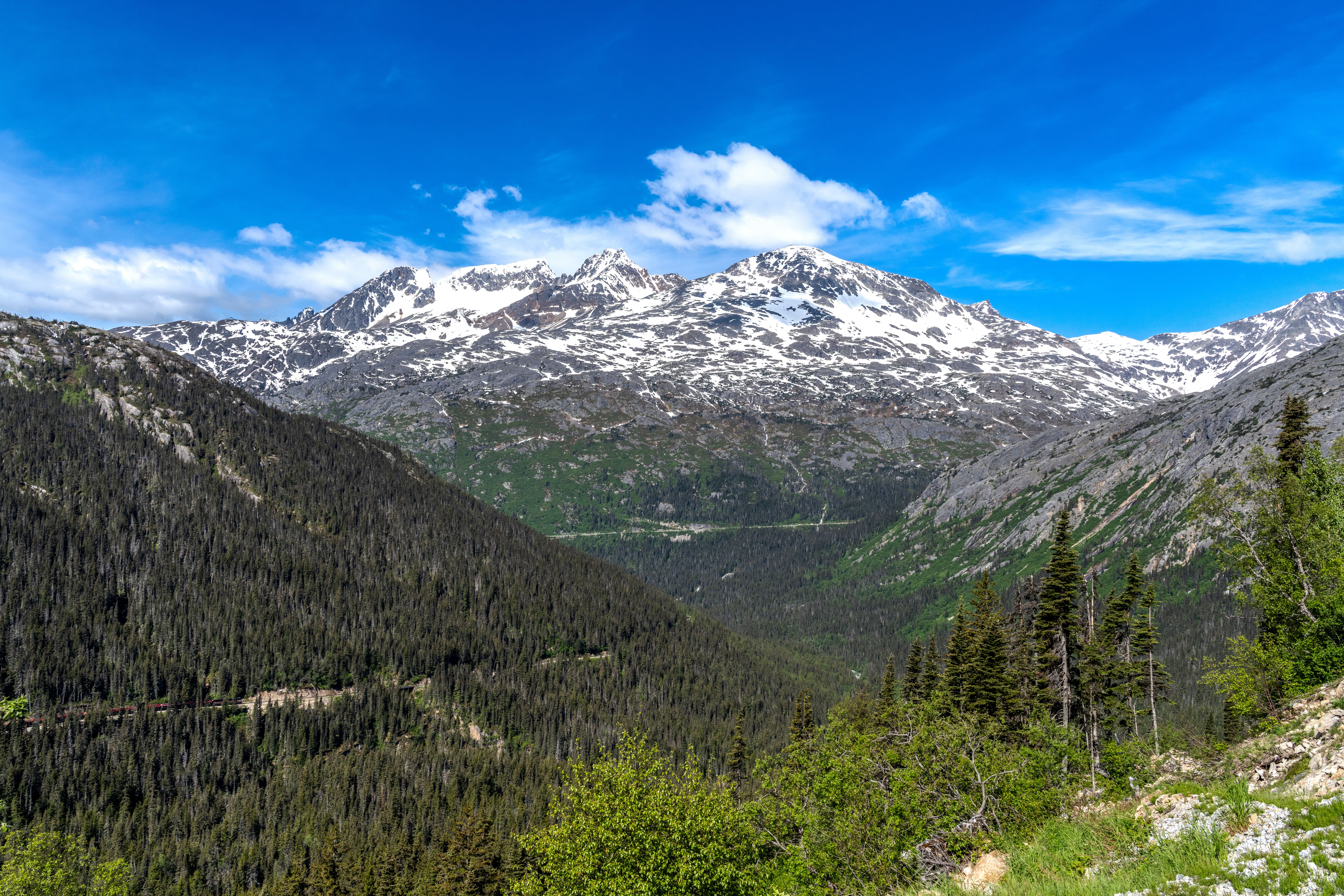 Green Forested Mountain Valley · Free Stock Photo