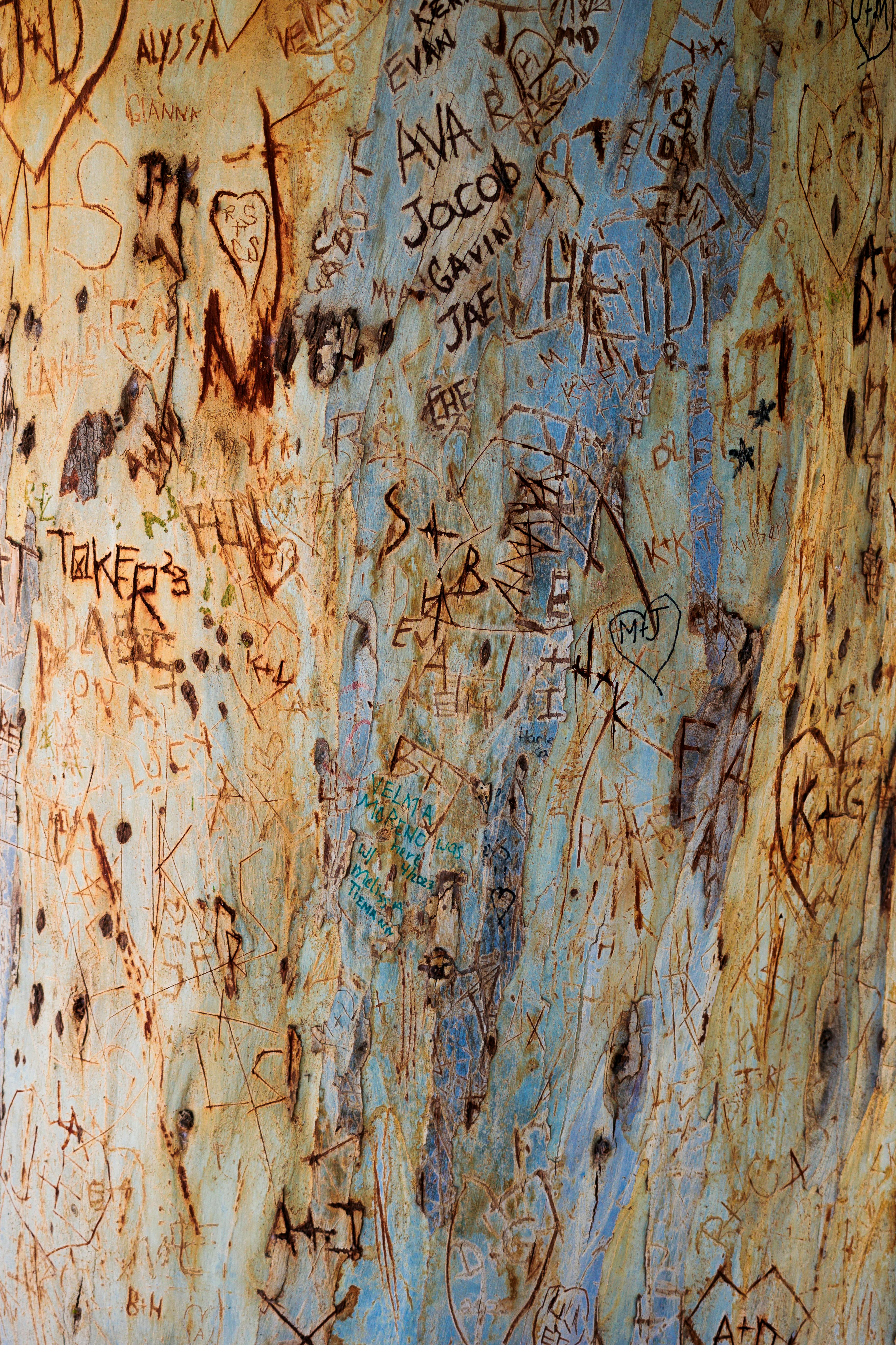 Names Patterns Photos, Download The BEST Free Names Patterns Stock ...