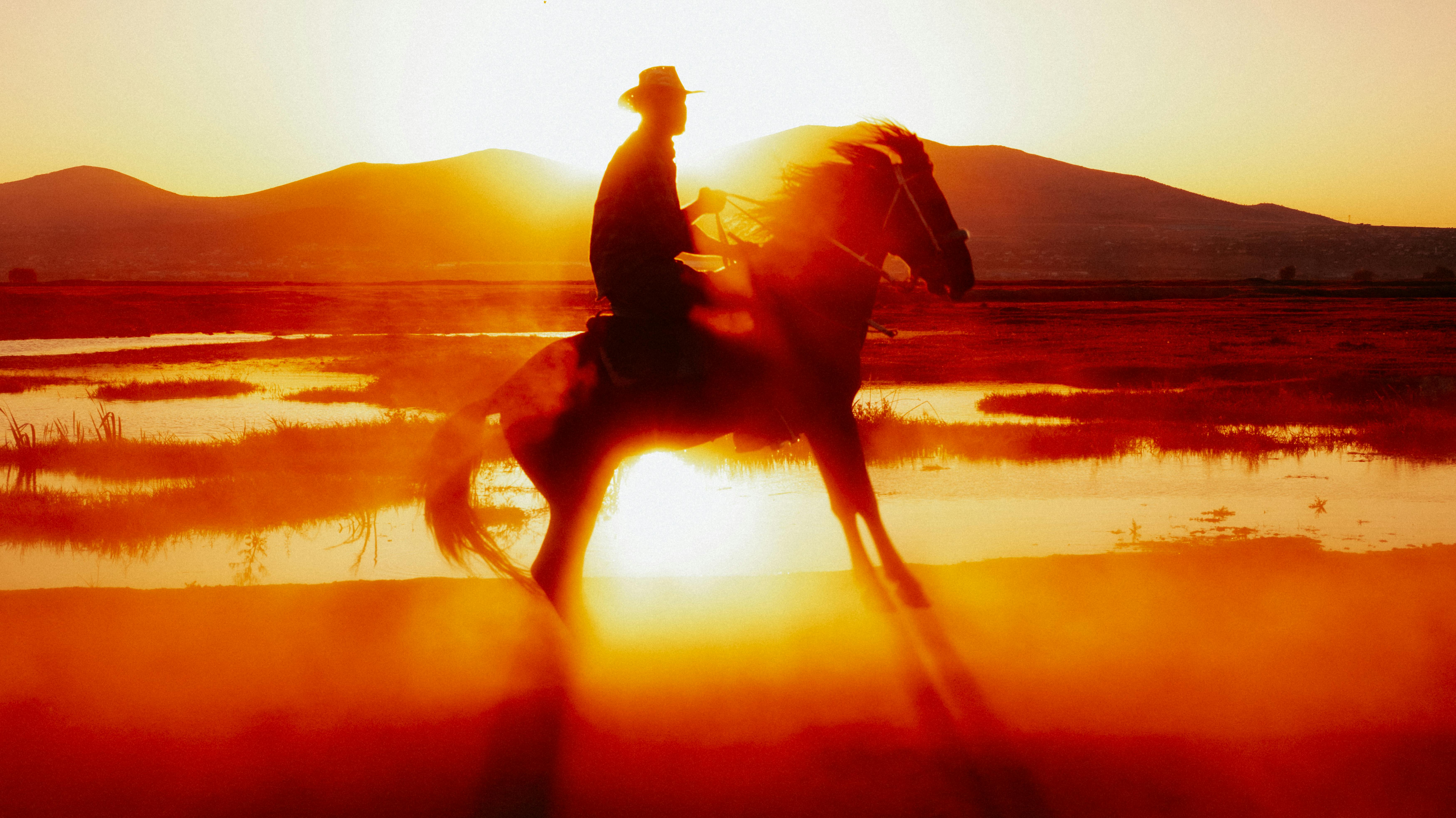 Man Riding on Horse During Sunset · Free Stock Photo
